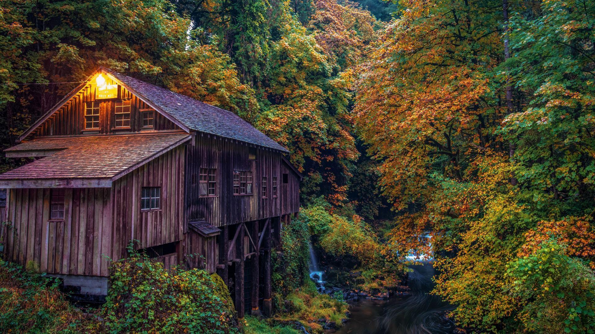 Natural 5K Wallpapers - Top Free Natural 5K Backgrounds - WallpaperAccess