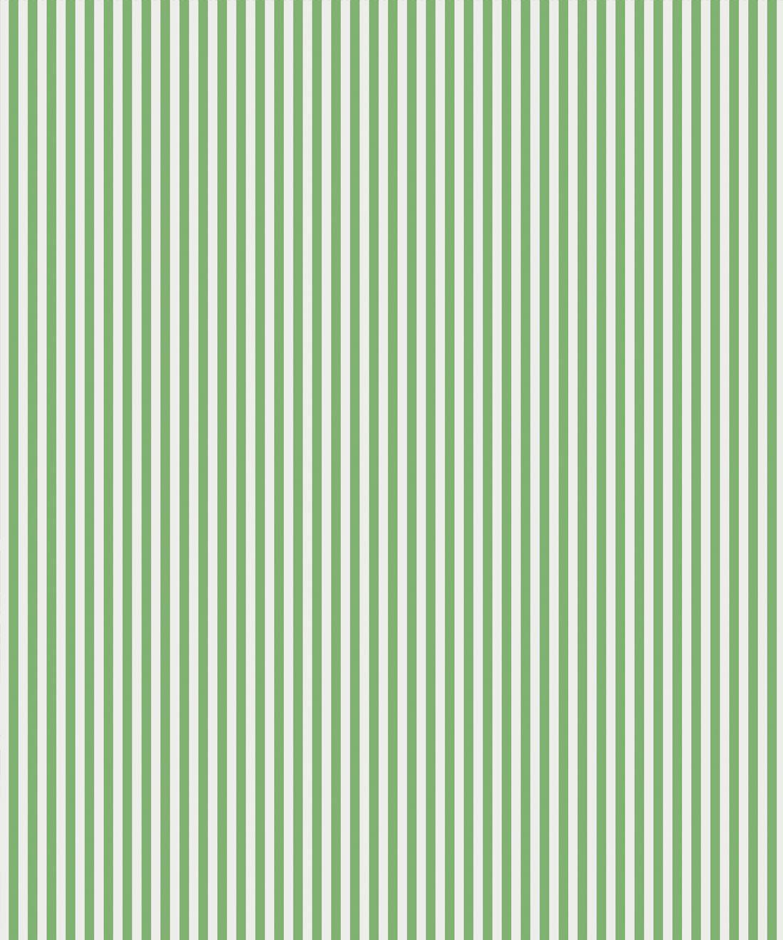 Green and White Striped Wallpapers - Top Free Green and White Striped Backgrounds - WallpaperAccess