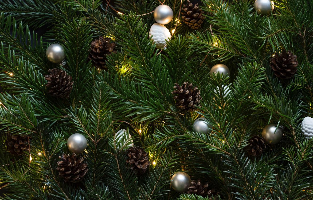 Simple Christmas Tree Wallpapers - Top Free Simple Christmas Tree ...