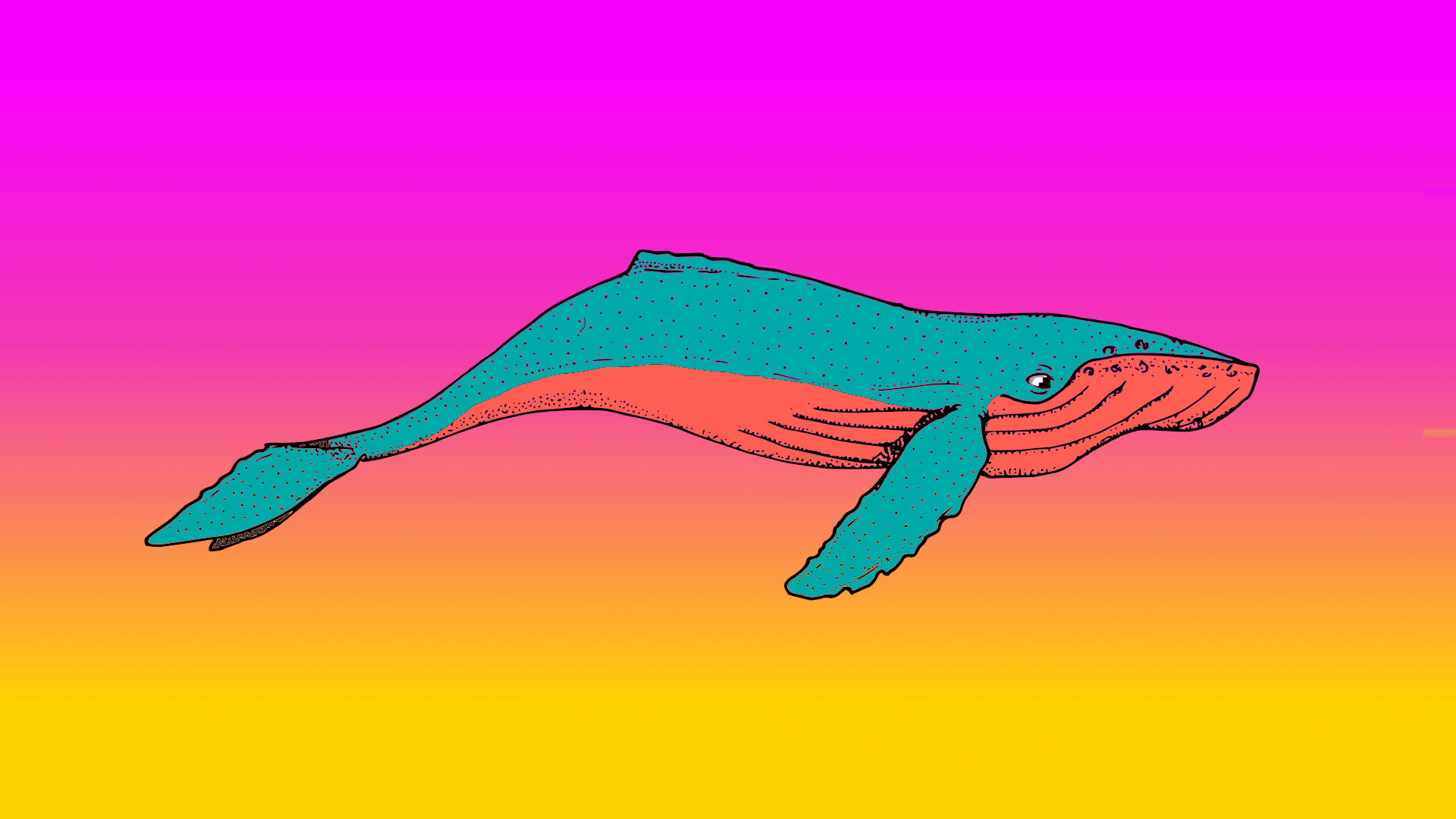 Pink Whale Wallpapers - Top Free Pink Whale Backgrounds - WallpaperAccess