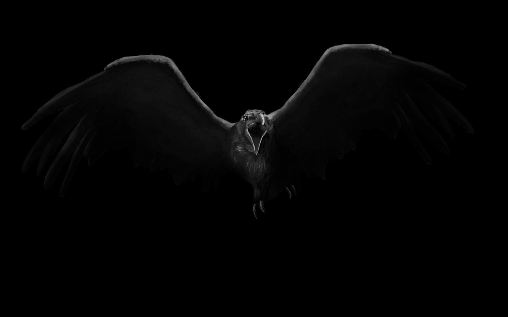 Crow 4K Wallpapers - Top Free Crow 4K Backgrounds - WallpaperAccess