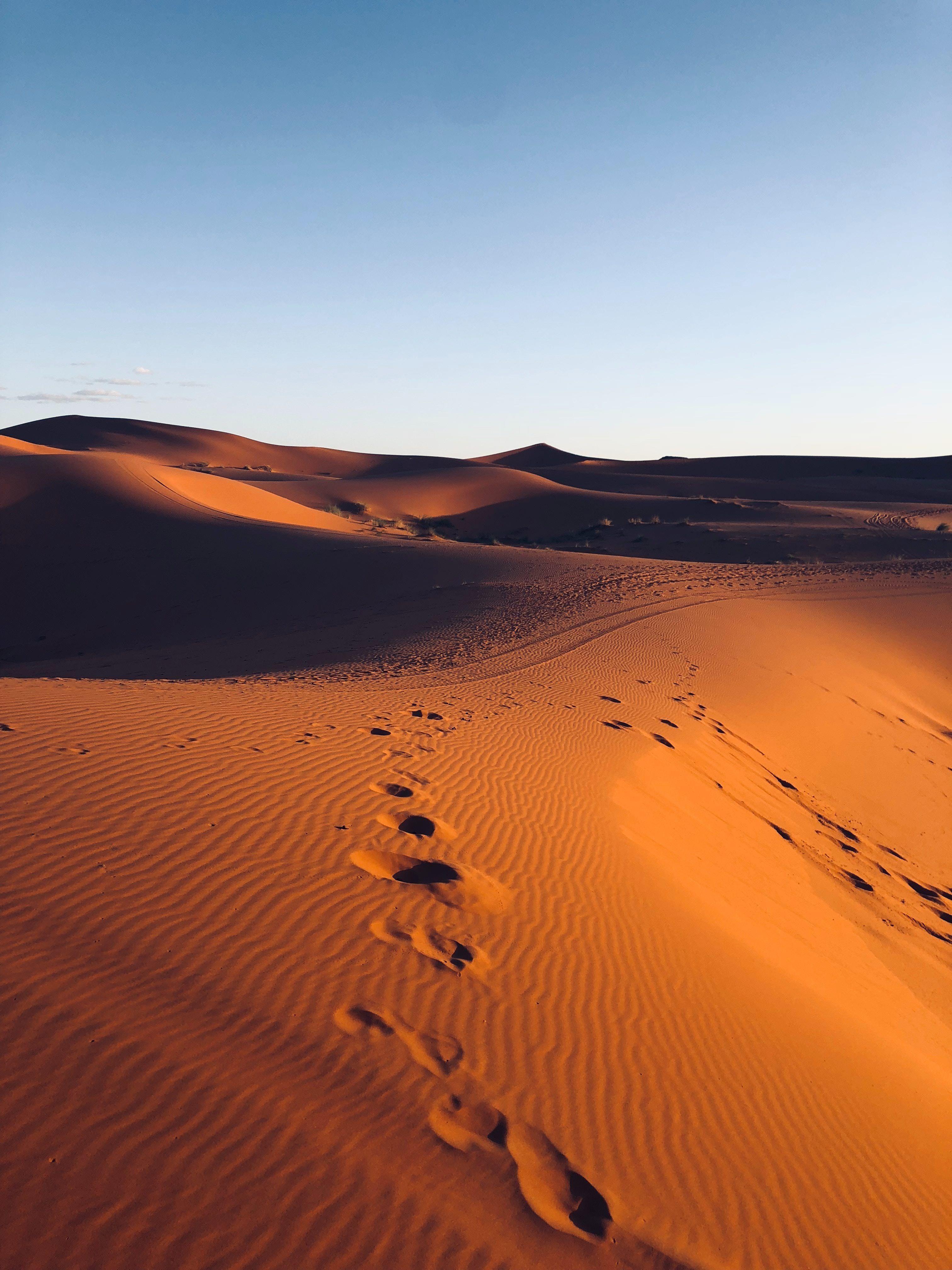 4K Sahara Wallpapers - Top Free 4K Sahara Backgrounds - WallpaperAccess