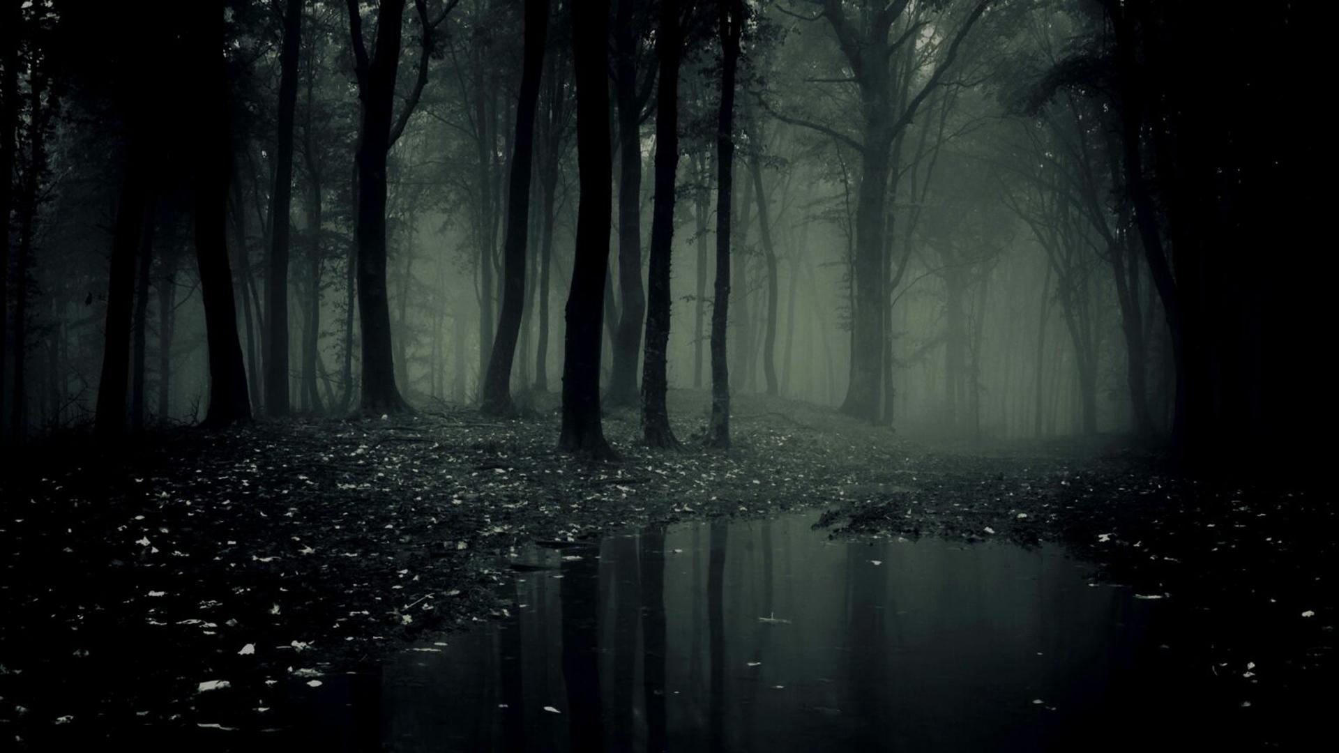 Dark Forest Lake Wallpapers - Top Free Dark Forest Lake Backgrounds ...