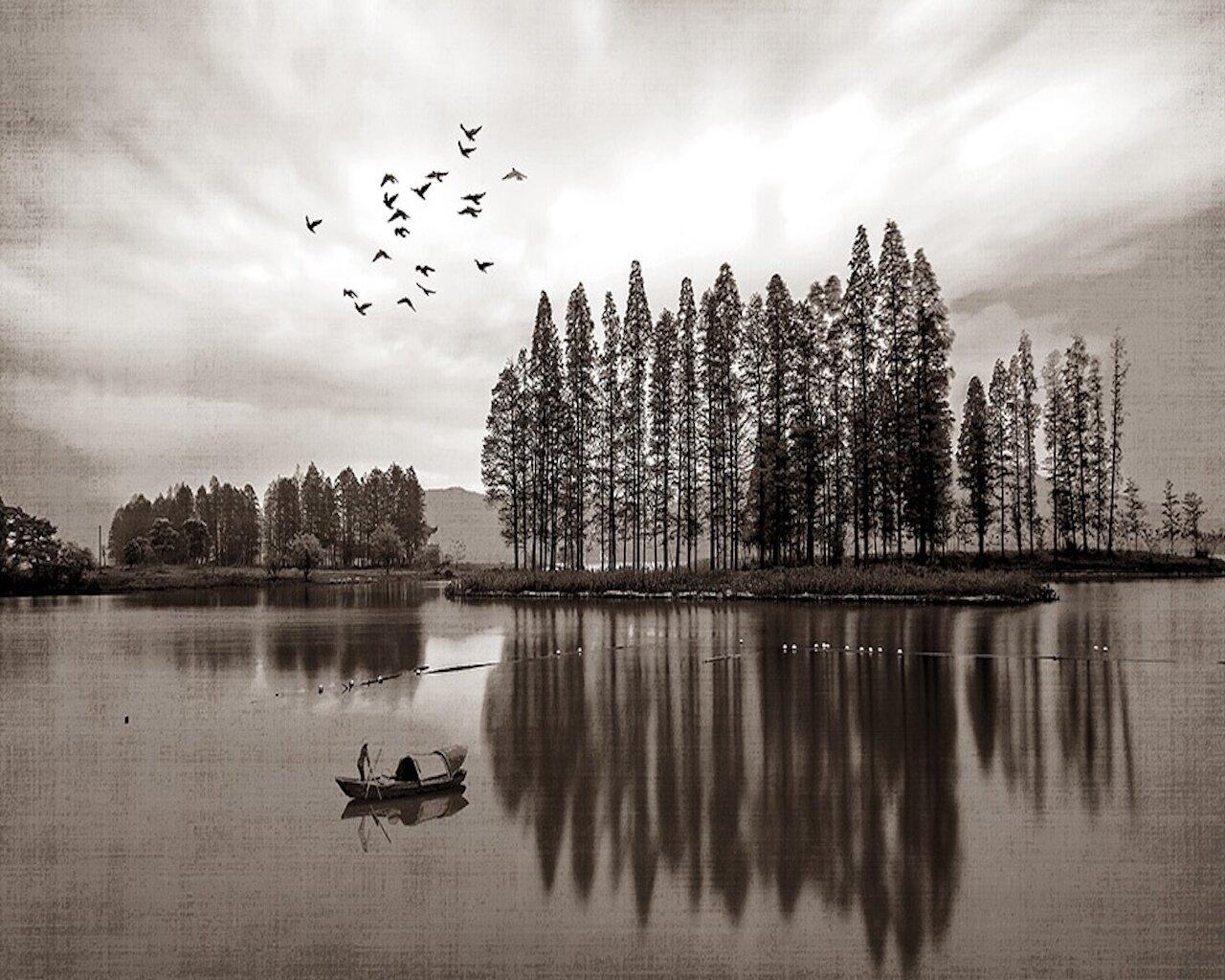 Dark Forest Lake Wallpapers - Top Free Dark Forest Lake Backgrounds ...