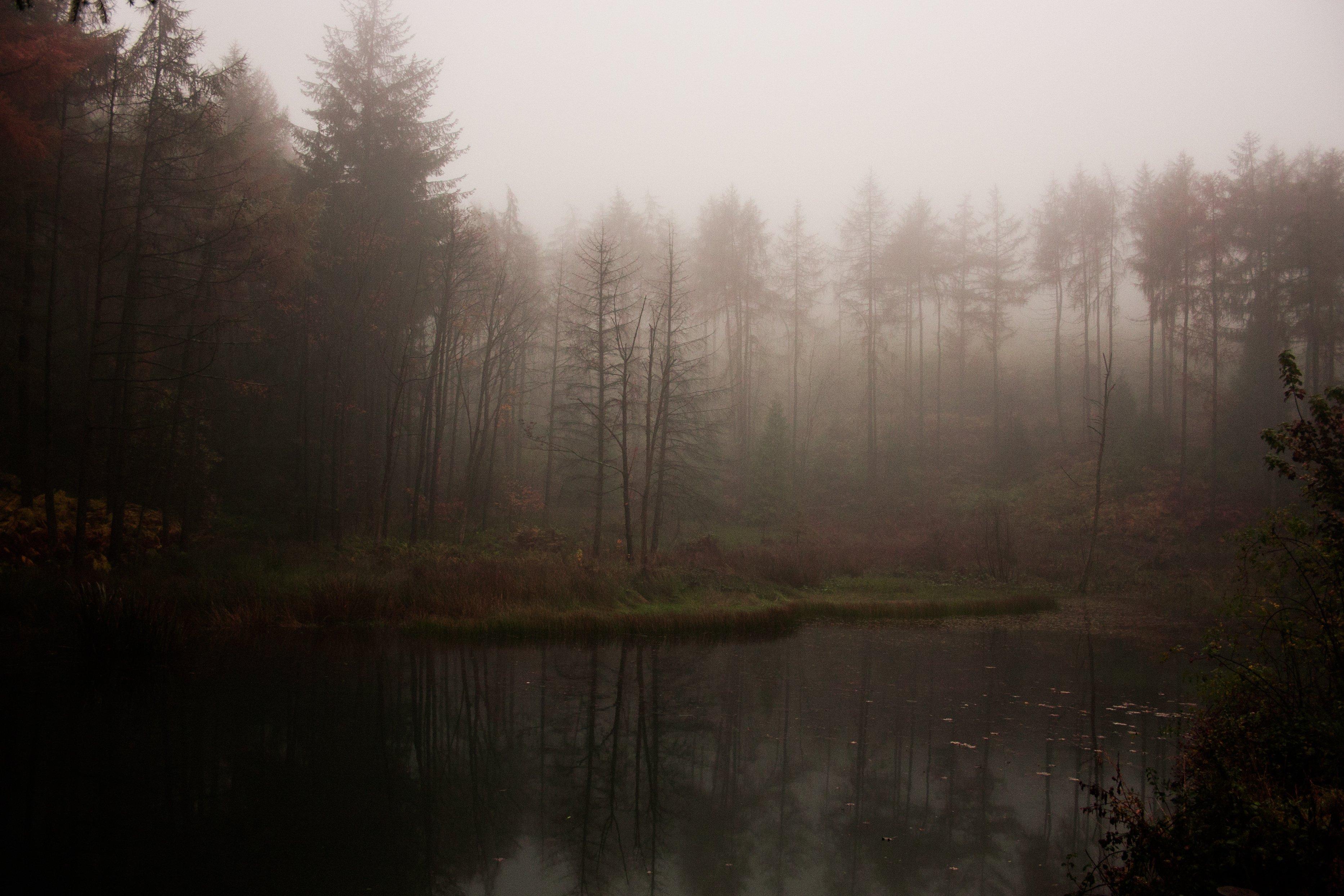 Dark Forest Lake Wallpapers - Top Free Dark Forest Lake Backgrounds ...