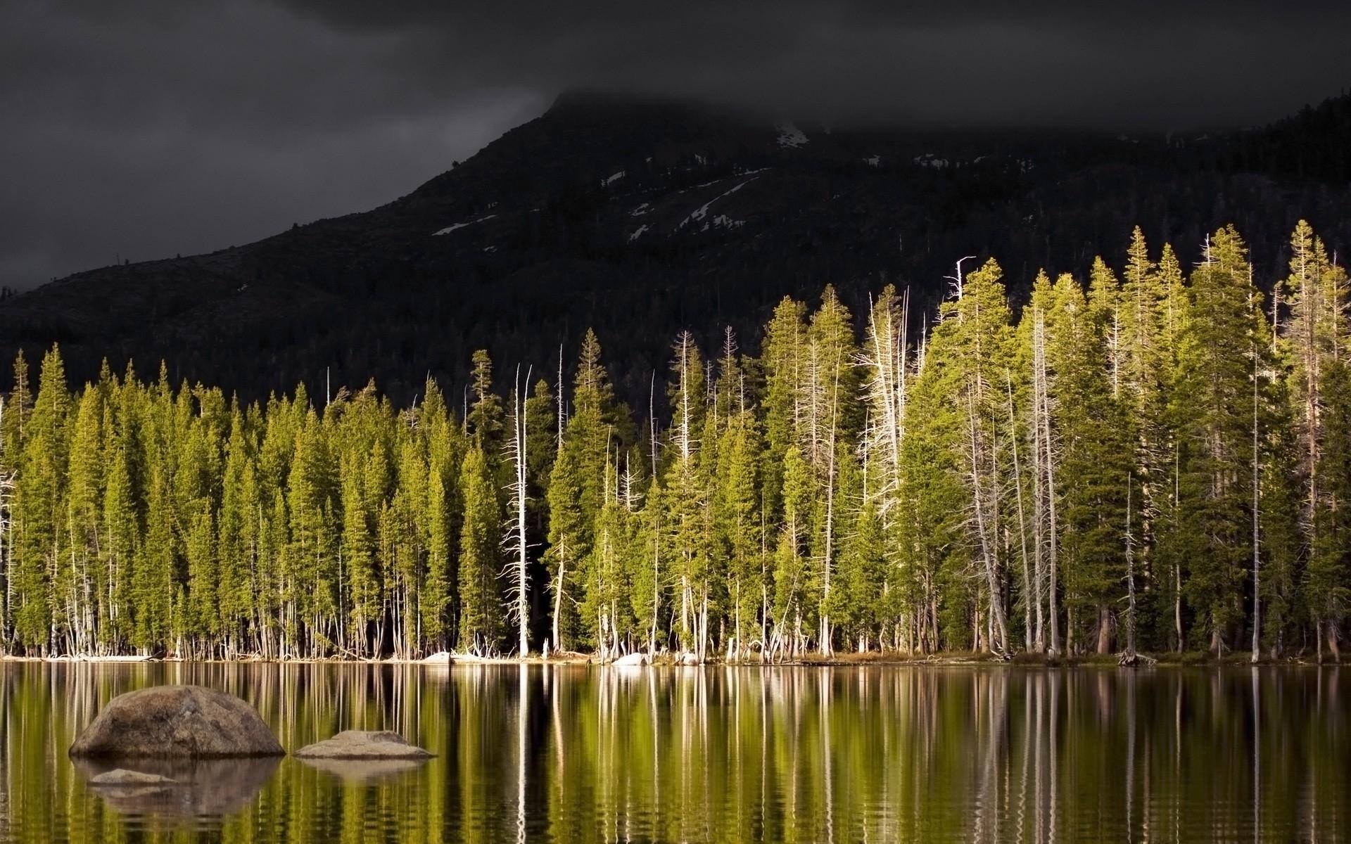 Dark Forest Lake Wallpapers - Top Free Dark Forest Lake Backgrounds ...
