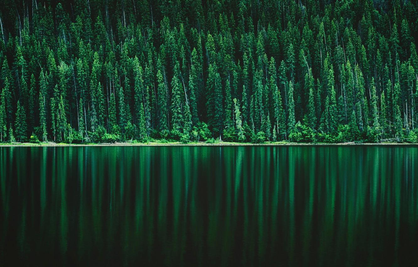 Dark Forest Lake Wallpapers - Top Free Dark Forest Lake Backgrounds ...