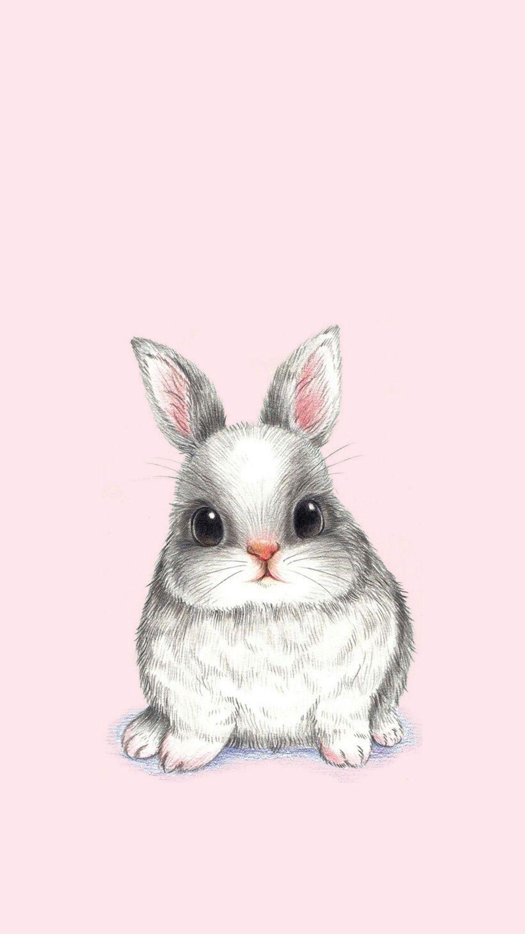 Bunnies Wallpapers - Top Free Bunnies Backgrounds - WallpaperAccess