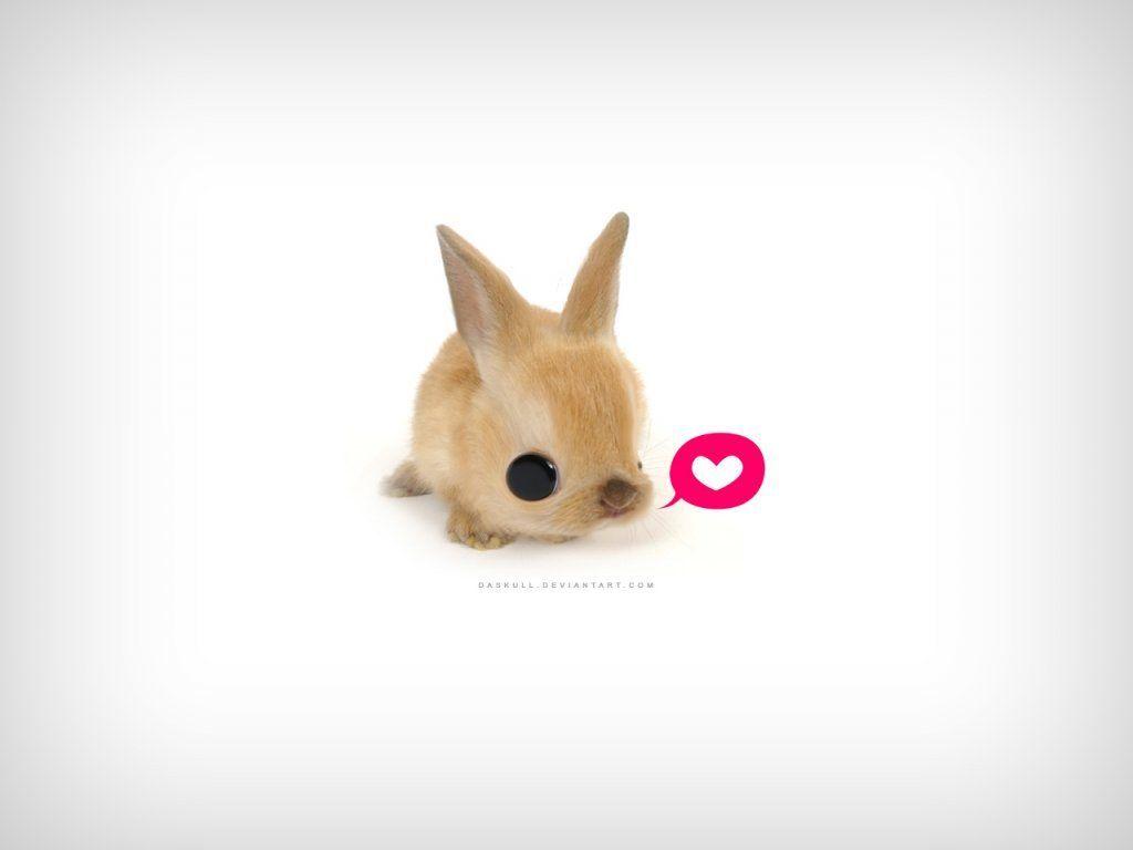 Kawaii Bunny Desktop Wallpapers - Top Free Kawaii Bunny Desktop ...