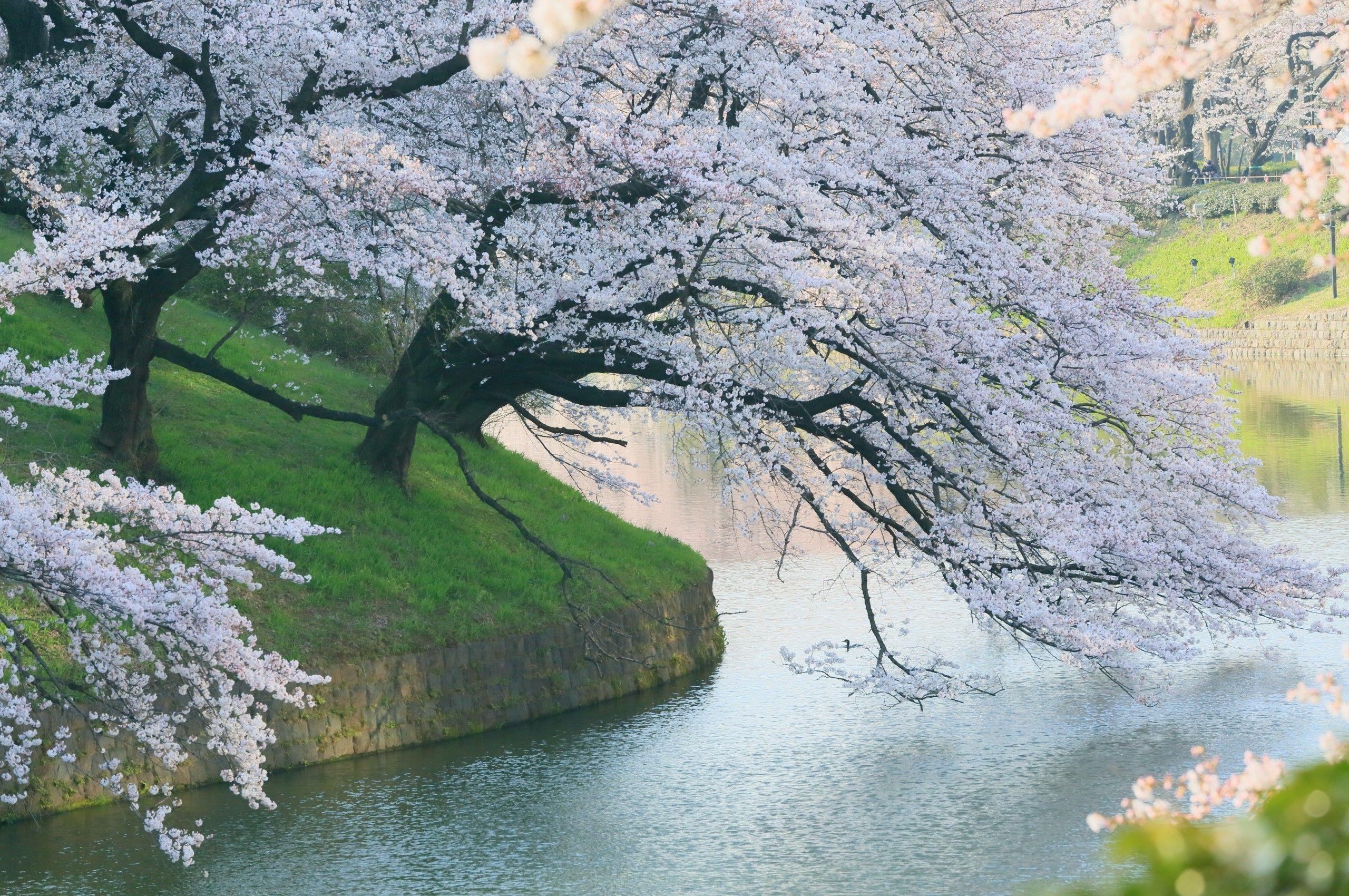 Spring Lake Desktop Wallpapers - Top Free Spring Lake Desktop ...