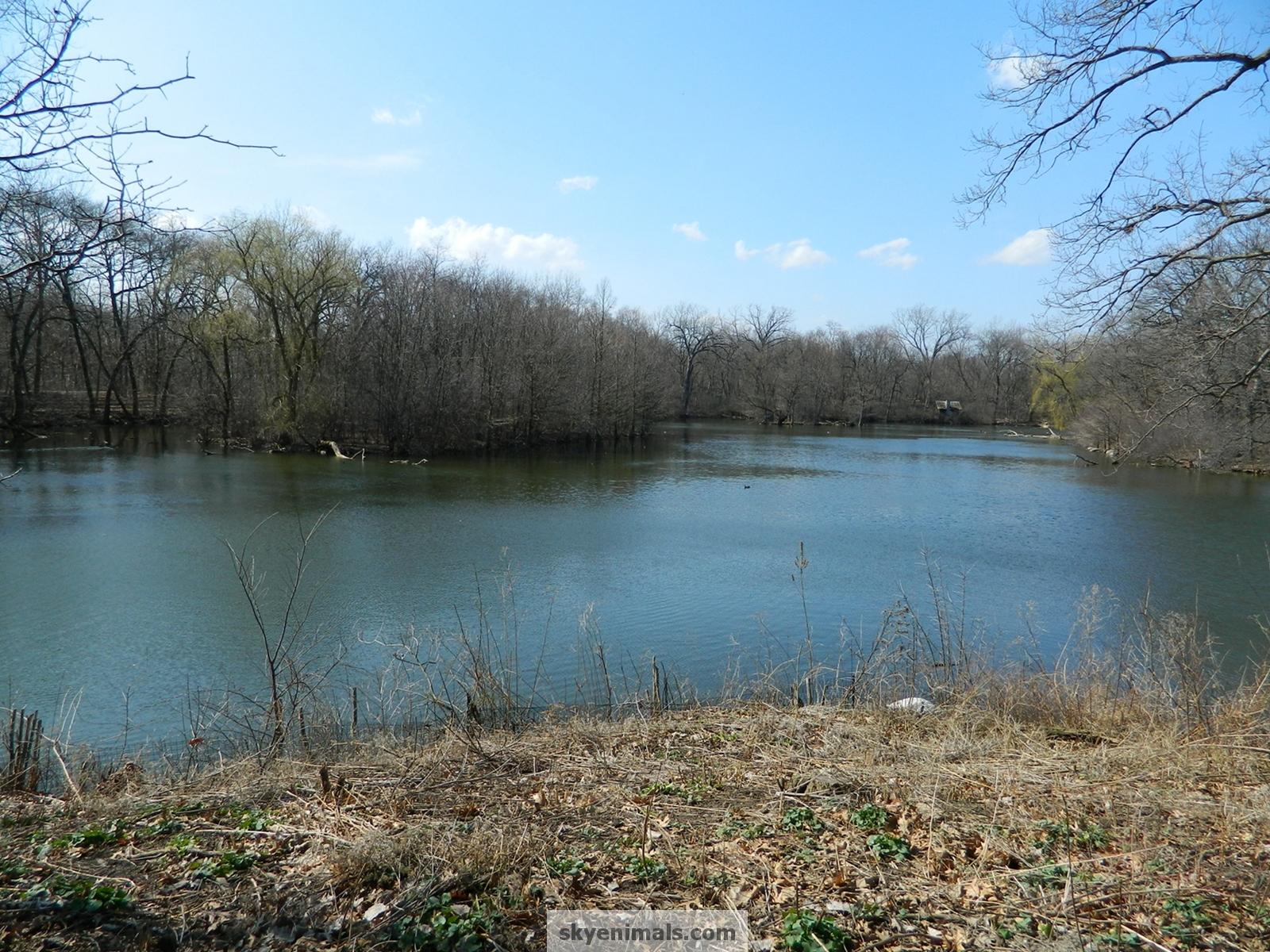 Spring Lake Desktop Wallpapers - Top Free Spring Lake Desktop ...