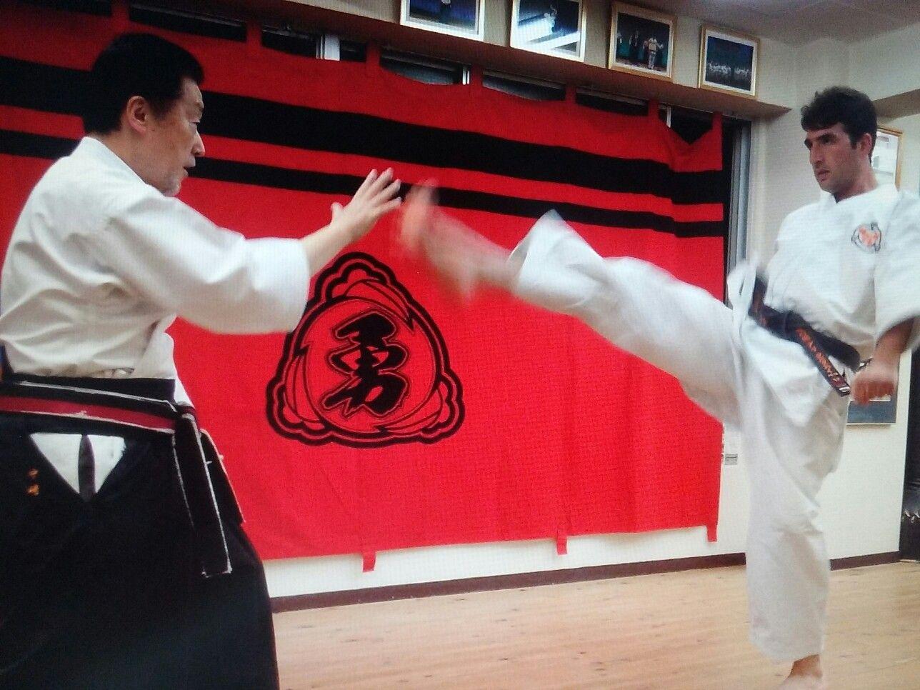 Okinawa Karate Wallpapers - Top Free Okinawa Karate Backgrounds ...