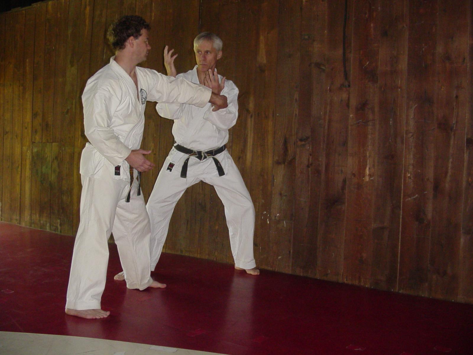Okinawa Karate Wallpapers - Top Free Okinawa Karate Backgrounds ...