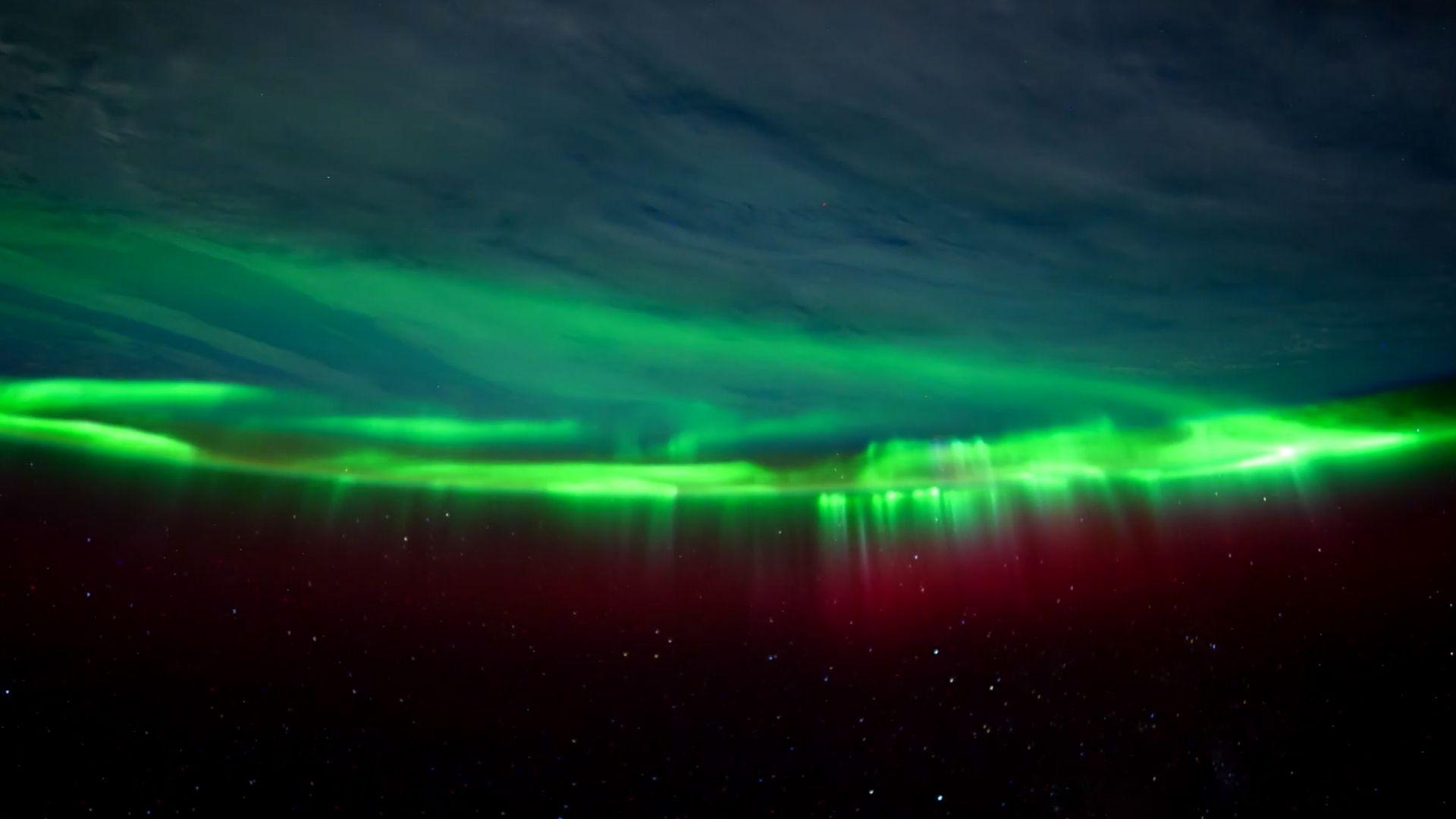 Our Planet Netflix Wallpapers - Top Free Our Planet Netflix Backgrounds ...