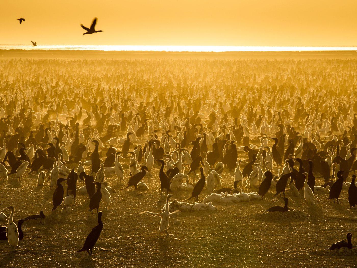 Our Planet Netflix Wallpapers - Top Free Our Planet Netflix Backgrounds ...