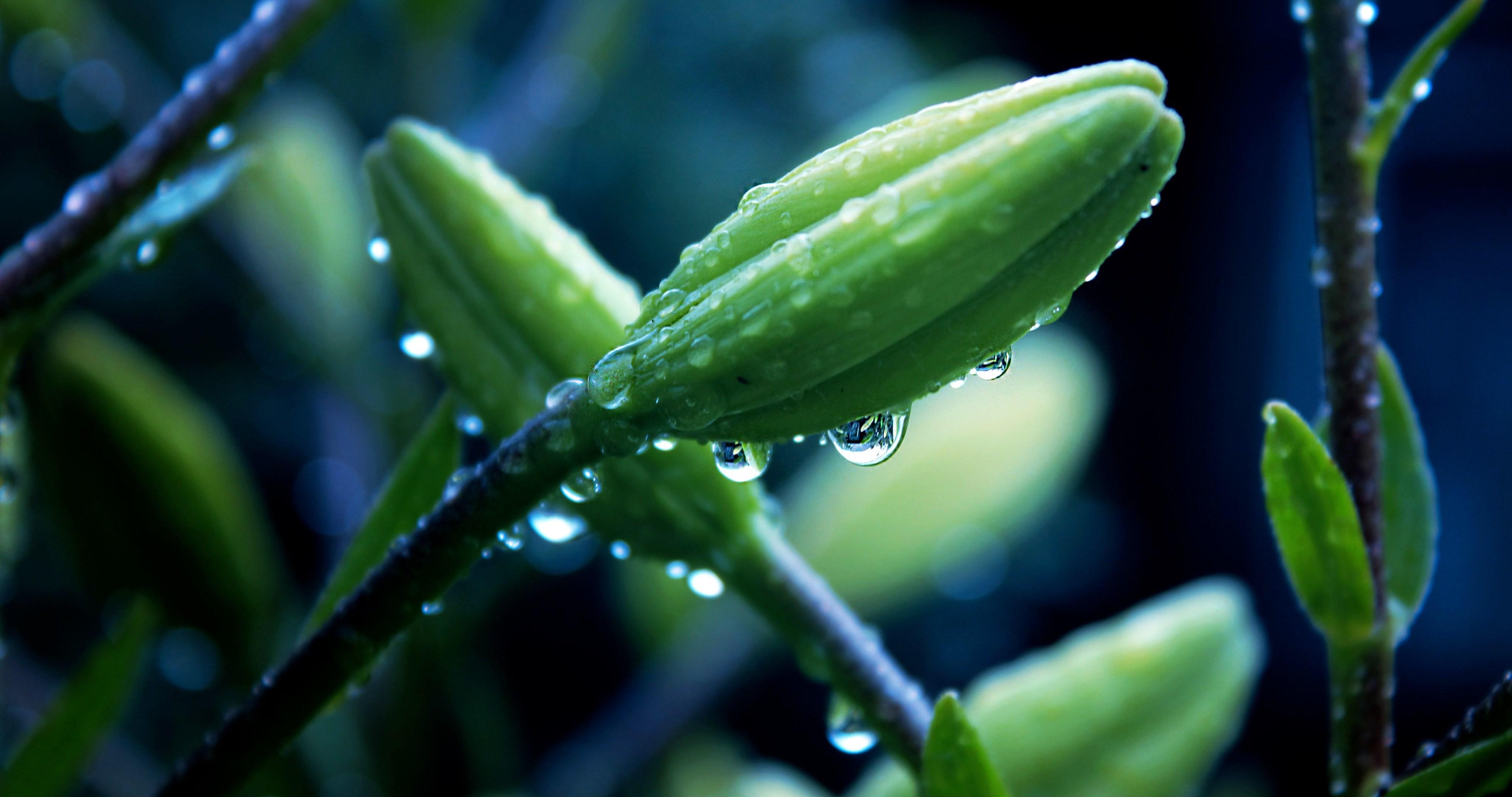 4K Micro Wallpapers - Top Free 4K Micro Backgrounds - WallpaperAccess