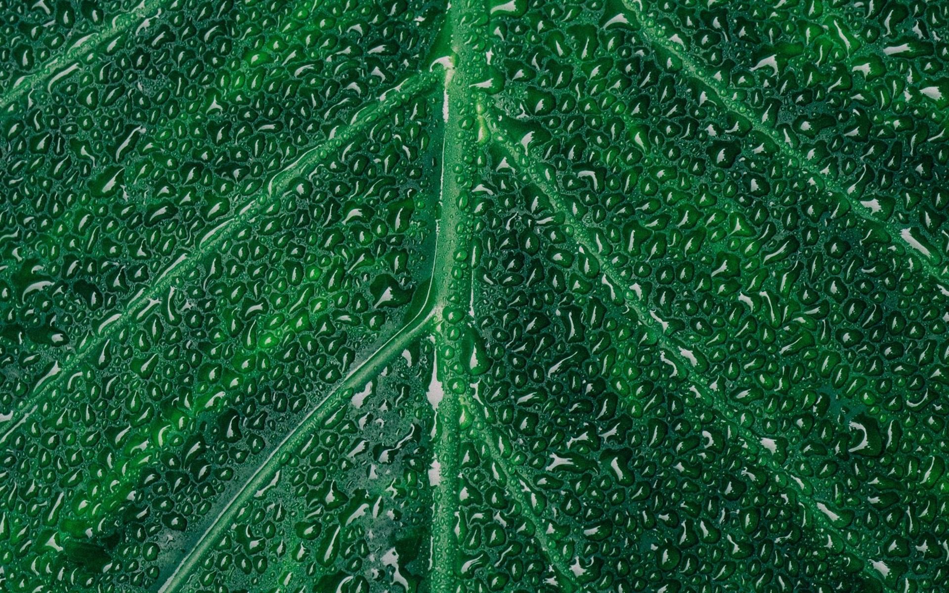 4K Micro Wallpapers - Top Free 4K Micro Backgrounds - WallpaperAccess