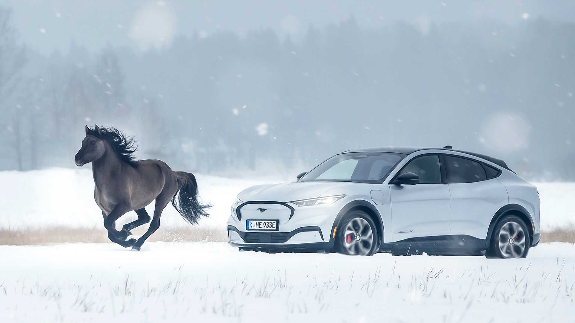 Ford Mustang Mach E Wallpapers - Top Free Ford Mustang Mach E ...