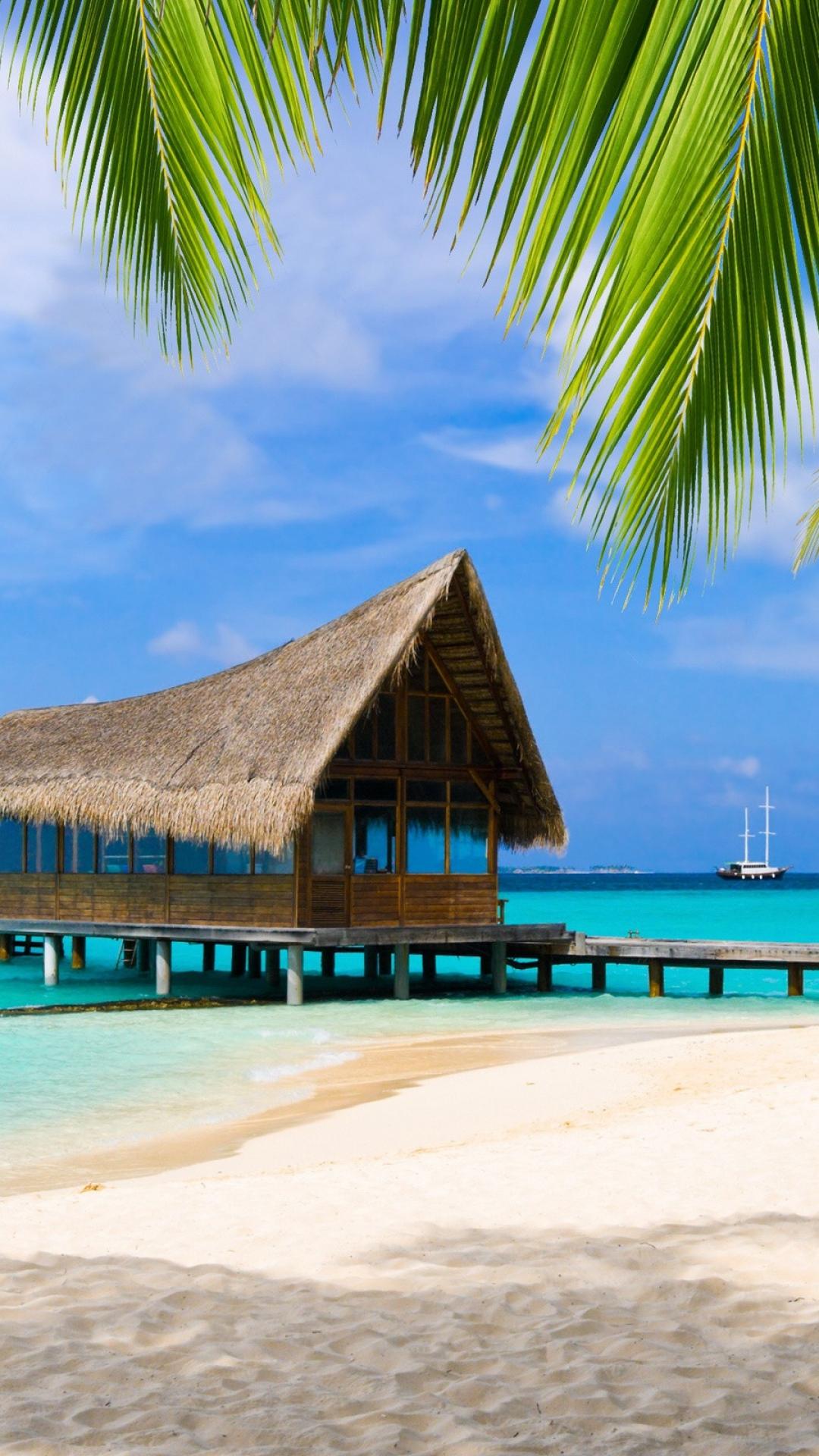 Exotic Mobile Wallpapers - Top Free Exotic Mobile Backgrounds ...