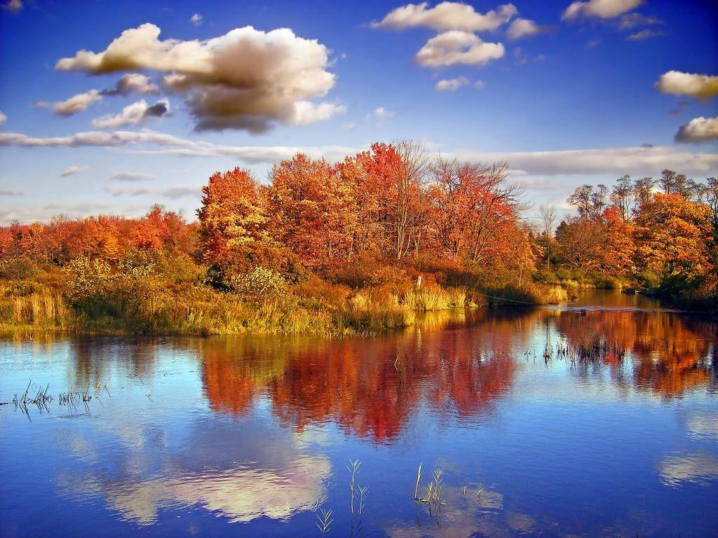Pennsylvania Fall Wallpapers - Top Free Pennsylvania Fall Backgrounds ...