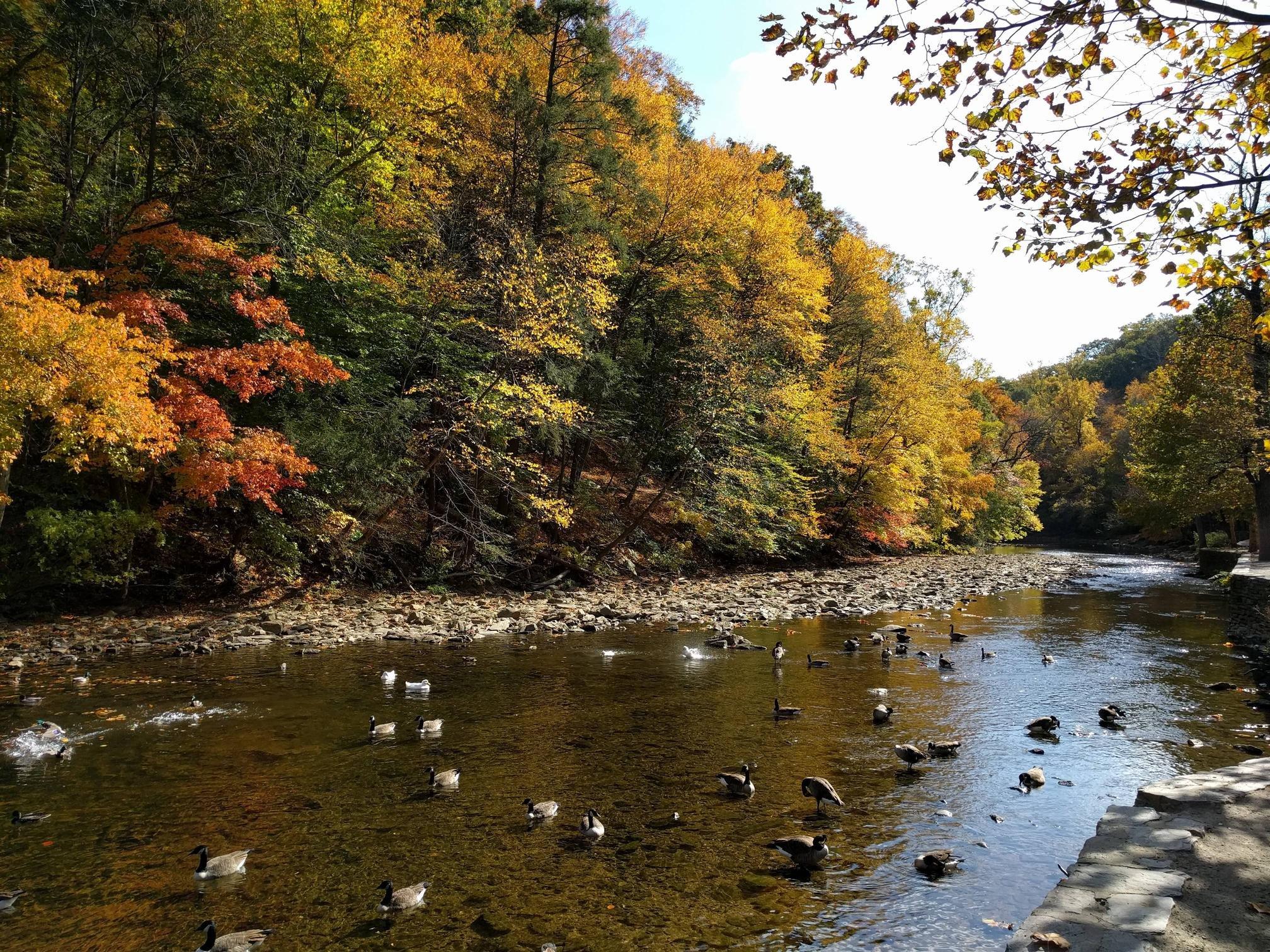 Pennsylvania Fall Wallpapers - Top Free Pennsylvania Fall Backgrounds ...