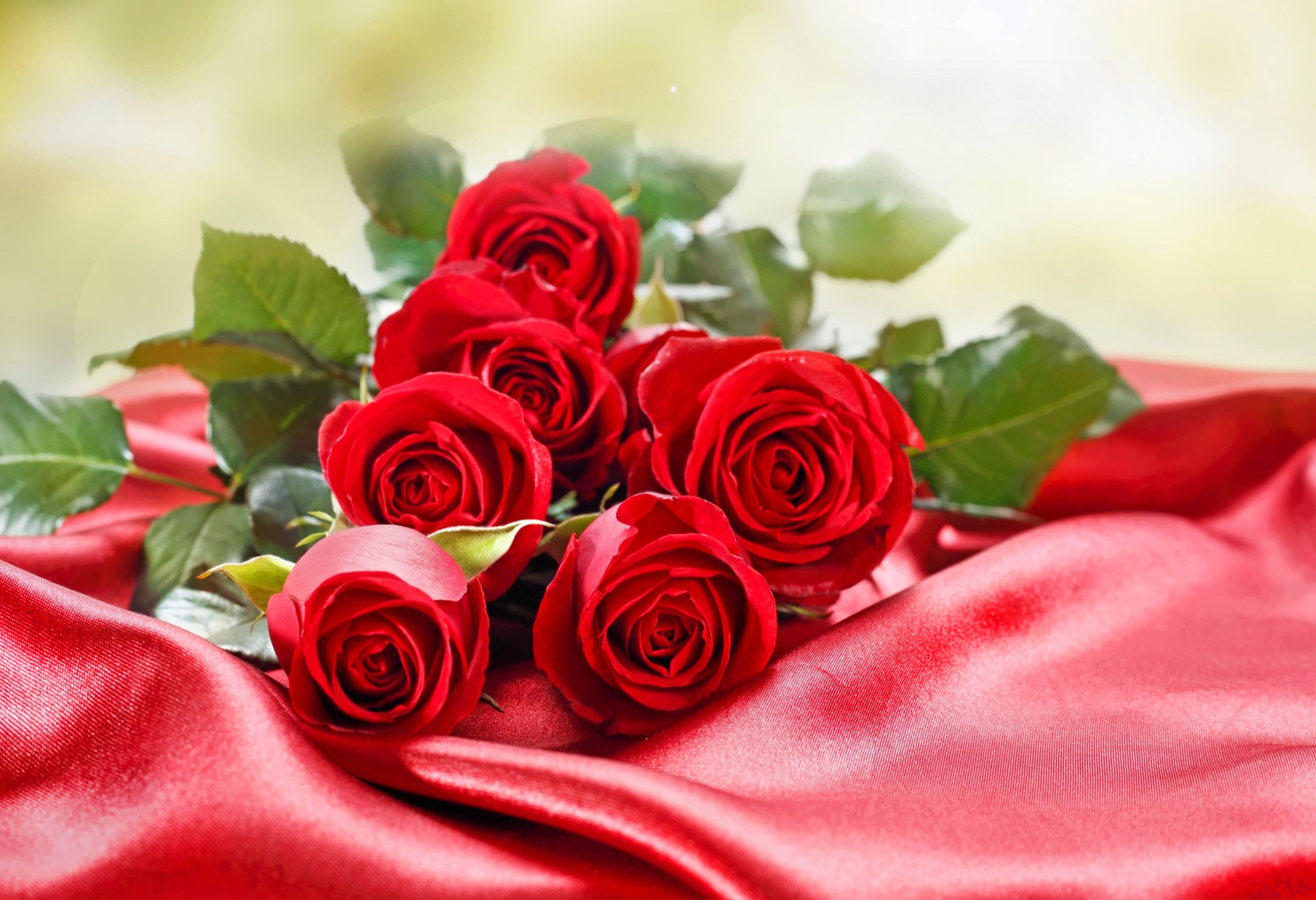 Red Rose Bouquet Wallpapers - Top Free Red Rose Bouquet Backgrounds ...