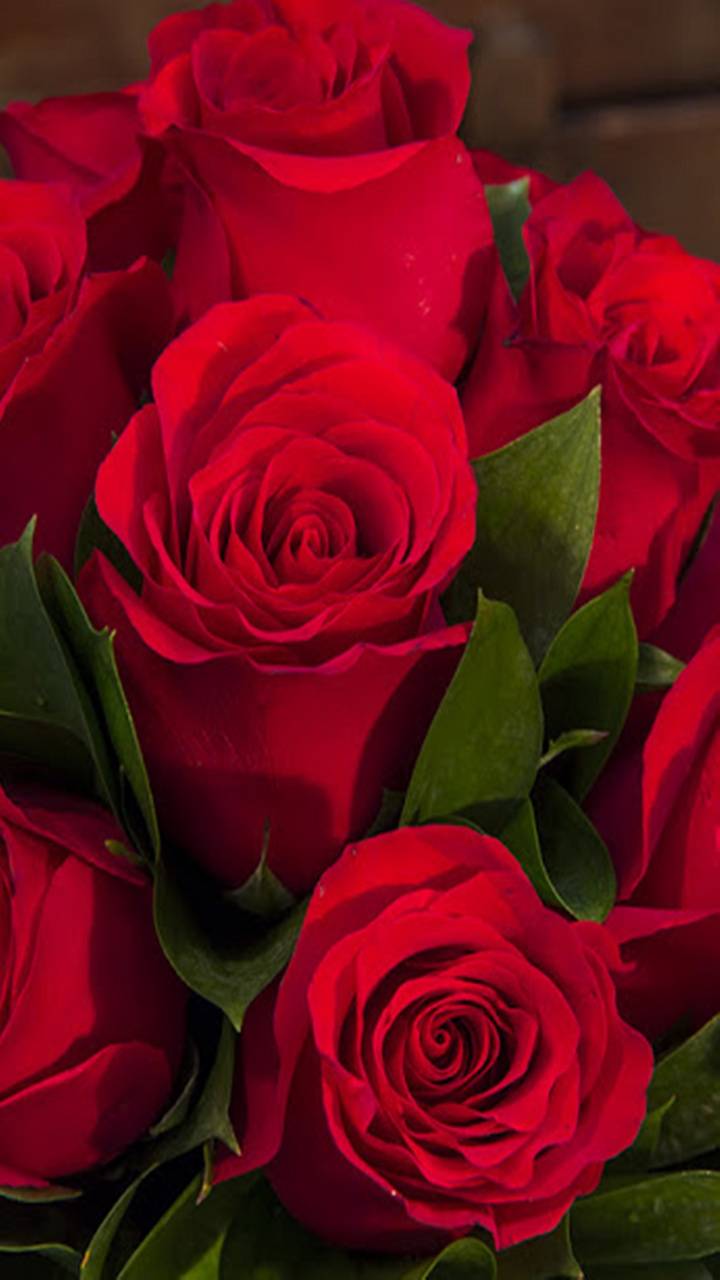 Red Rose Bouquet Wallpapers - Top Free Red Rose Bouquet Backgrounds ...