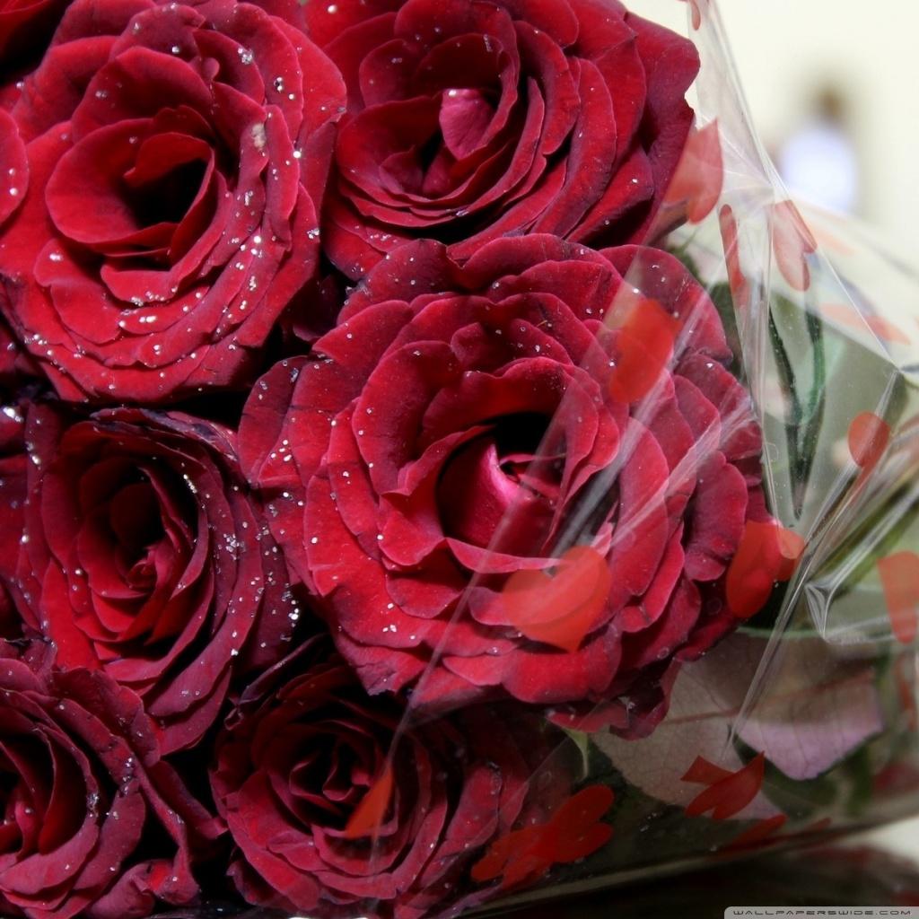 Red Rose Bouquet Wallpapers - Top Free Red Rose Bouquet Backgrounds ...