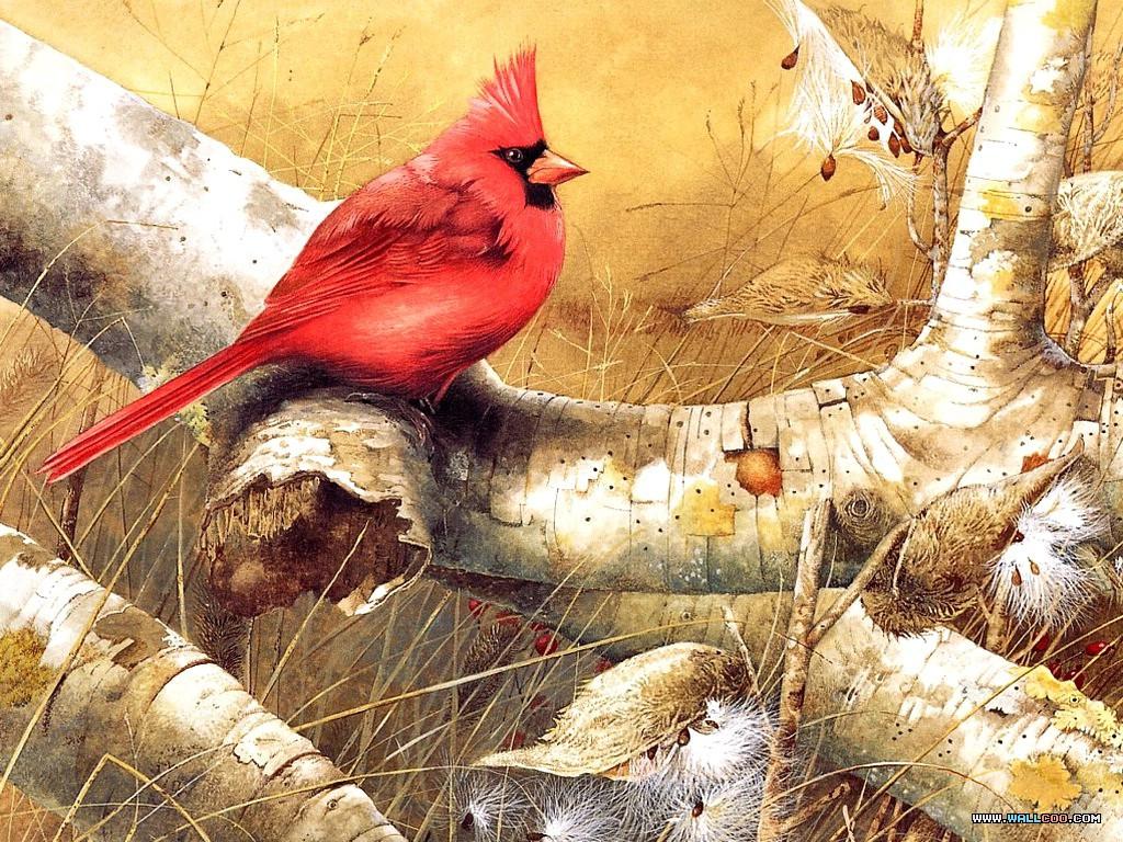 Art Bird Wallpapers - Top Free Art Bird Backgrounds - WallpaperAccess