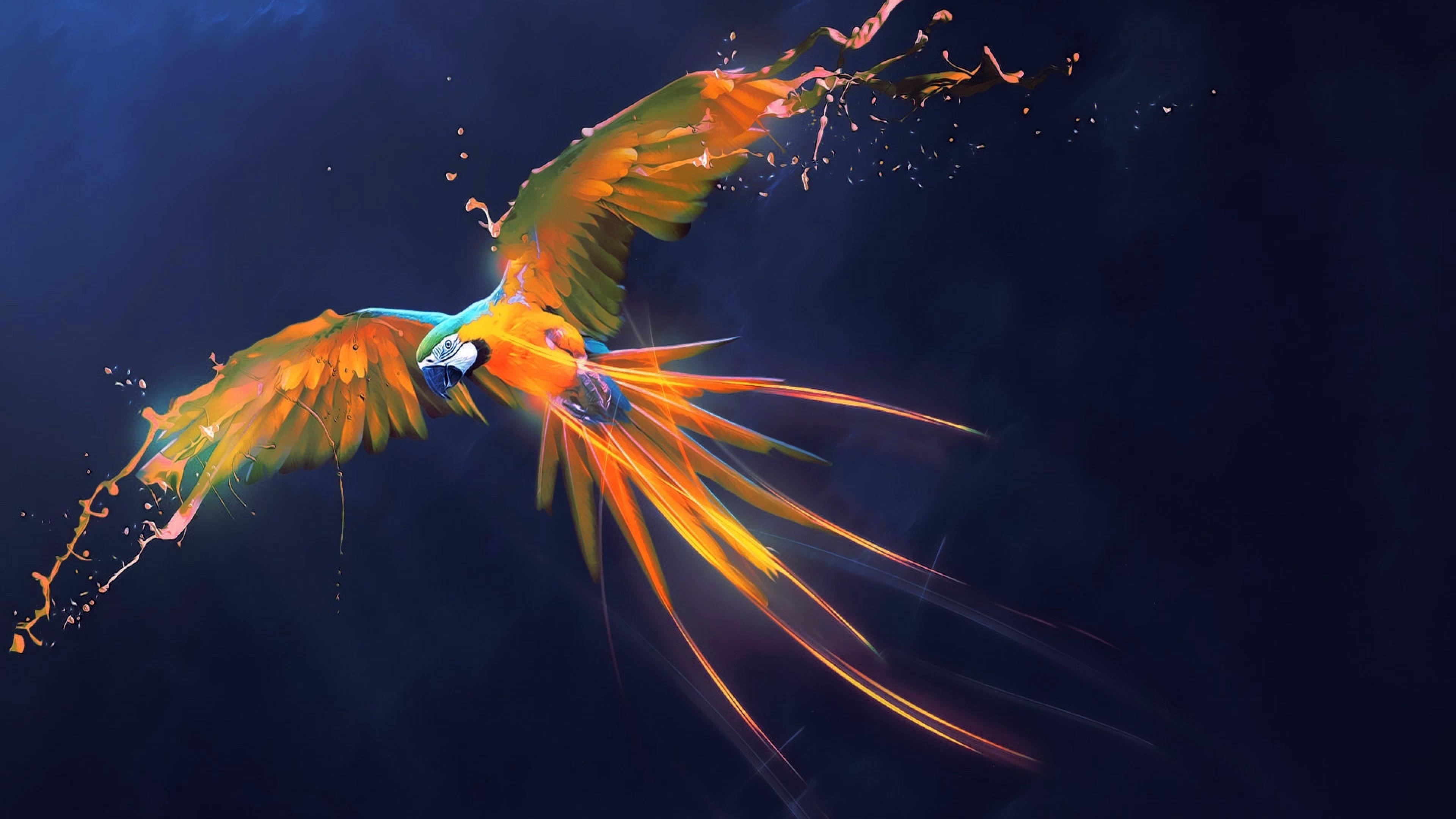 Art Bird Wallpapers - Top Free Art Bird Backgrounds - WallpaperAccess