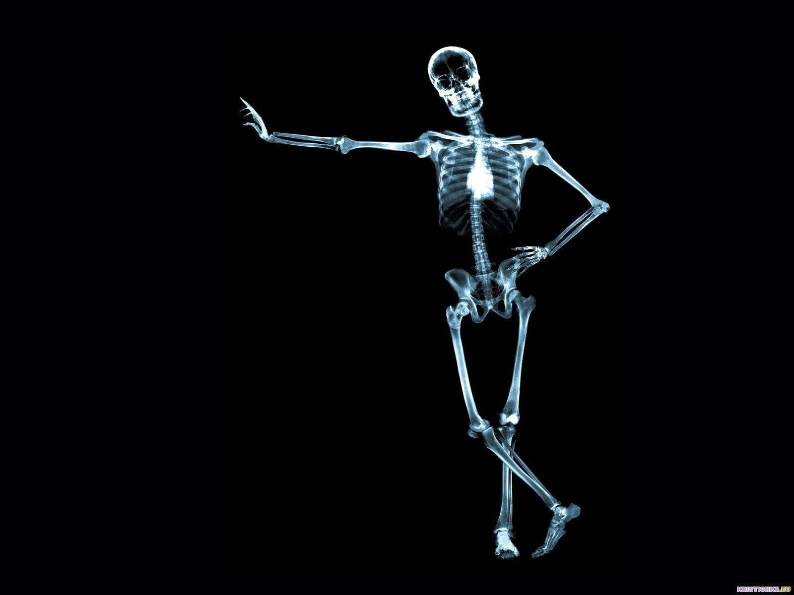 Skeleton Anatomy Wallpapers - Top Free Skeleton Anatomy Backgrounds ...