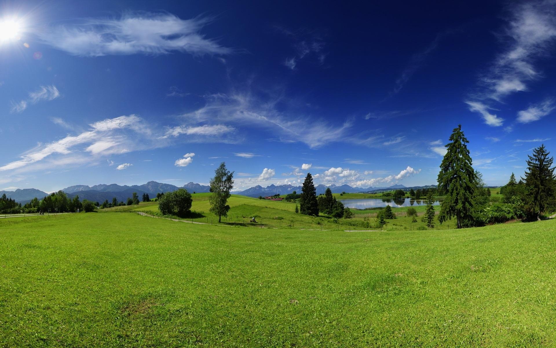 Green Grass and Blue Sky Wallpapers - Top Free Green Grass and Blue Sky ...
