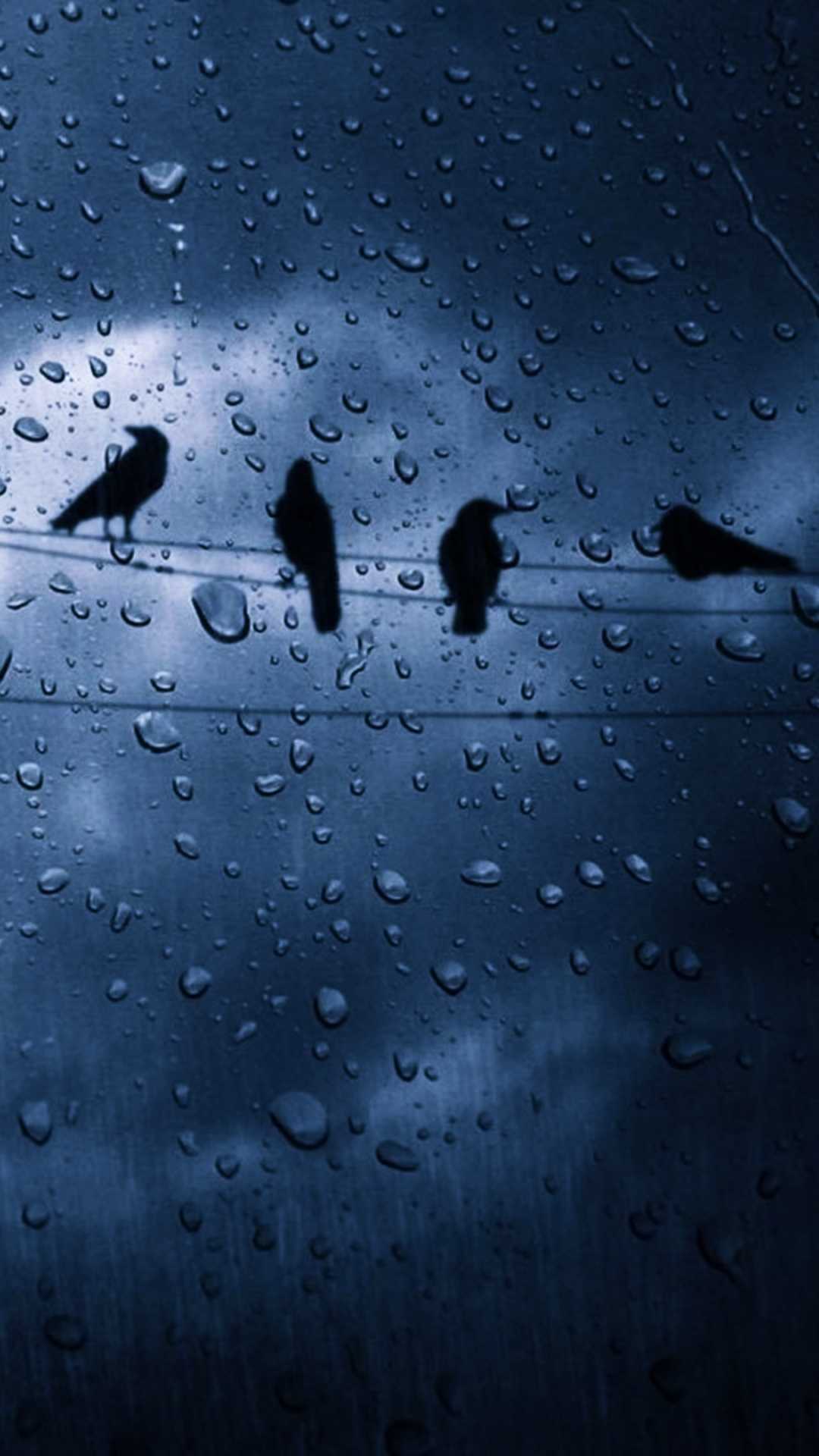 Grey Rain Wallpapers Top Free Grey Rain Backgrounds Wallpaperaccess