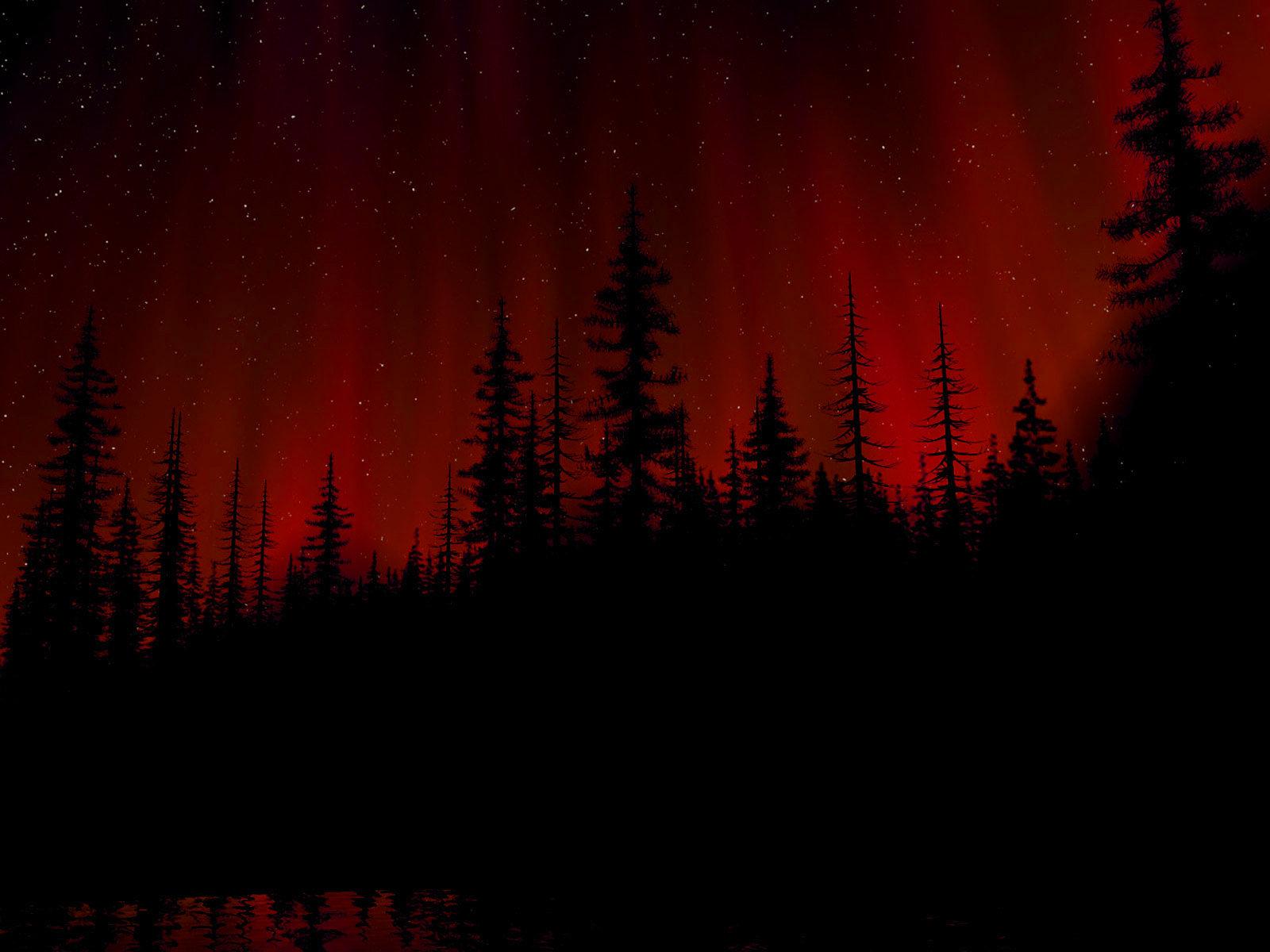 Dark Forest Computer Wallpapers - Top Free Dark Forest Computer ...