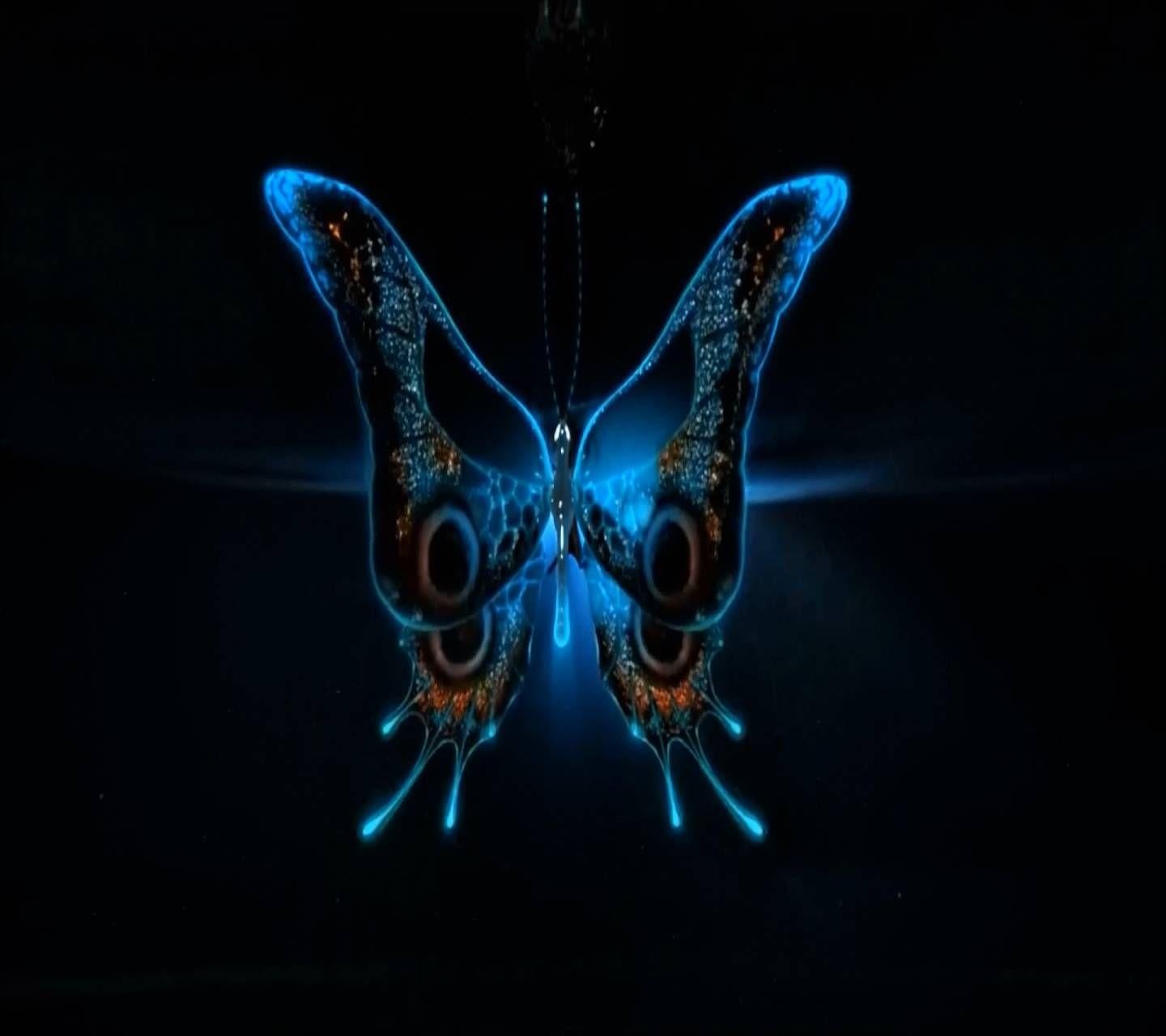 Neon Butterfly Wallpapers - Top Free Neon Butterfly Backgrounds ...