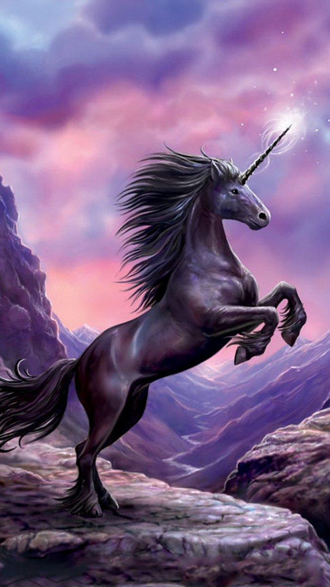 Beautiful Unicorns Wallpapers - Top Free Beautiful Unicorns Backgrounds ...