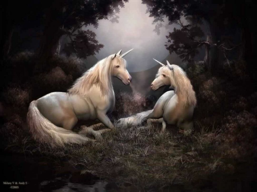 Beautiful Unicorns Wallpapers - Top Free Beautiful Unicorns Backgrounds ...