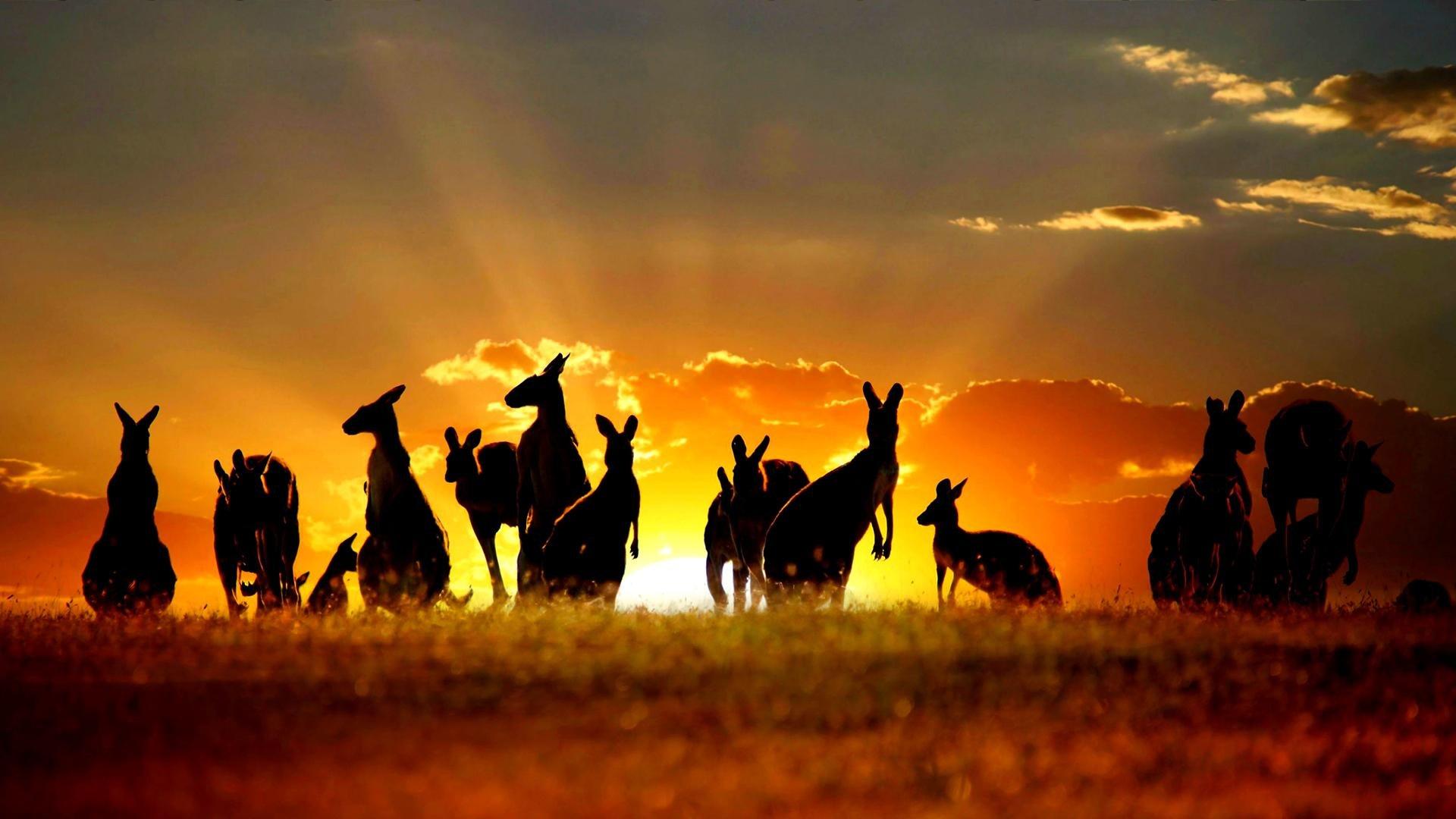 Australia Outback Wallpapers - Top Free Australia Outback Backgrounds ...