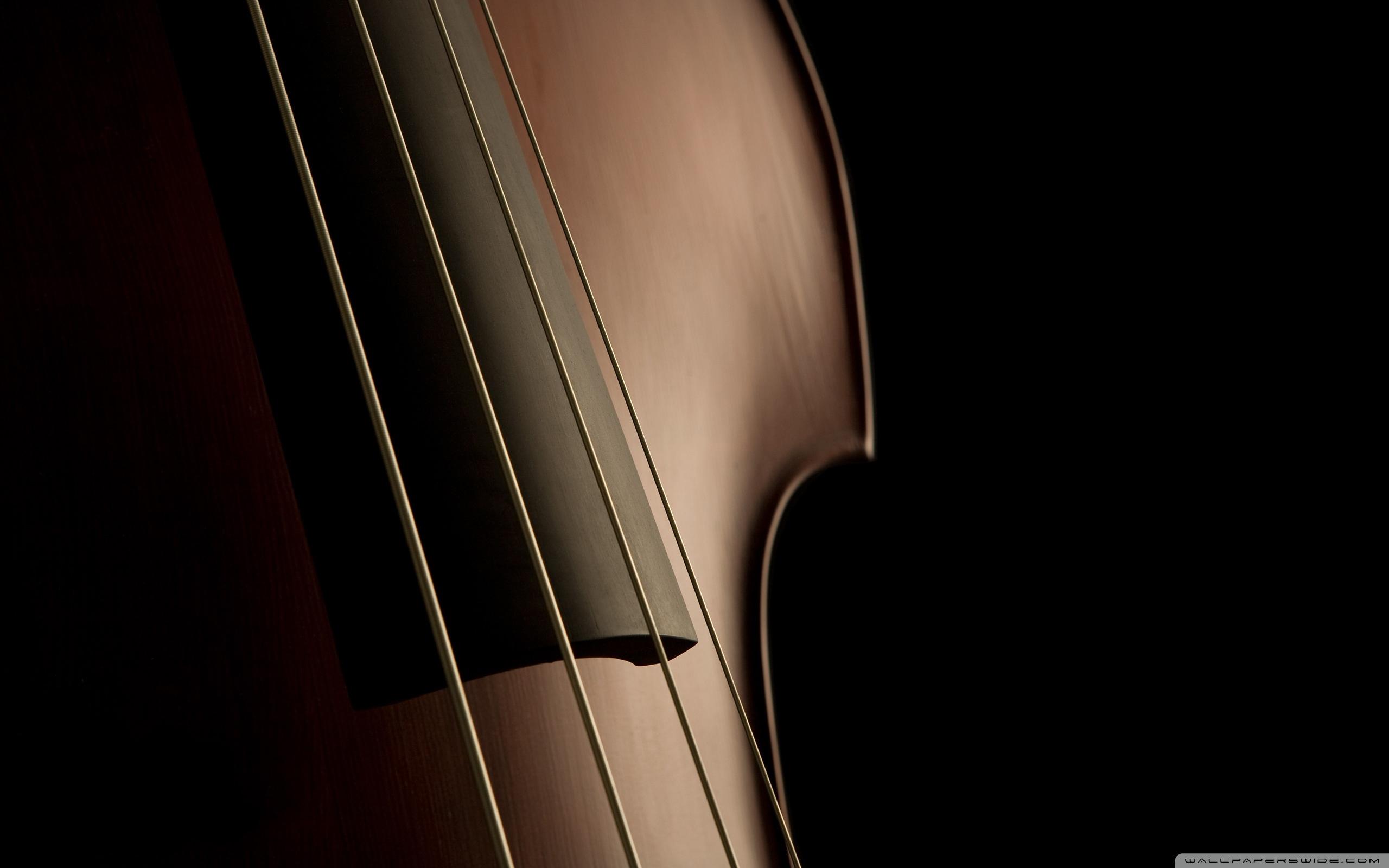 Double Bass Wallpapers - Top Free Double Bass Backgrounds - WallpaperAccess