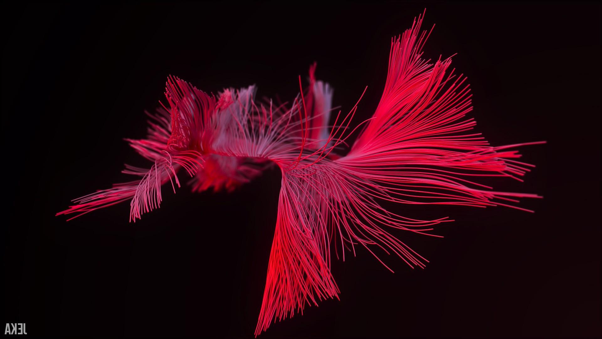 4D Desktop Wallpapers - Top Free 4D Desktop Backgrounds - WallpaperAccess