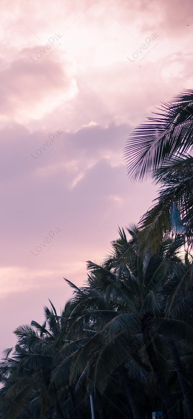 Chill Phone Wallpapers - Top Free Chill Phone Backgrounds - WallpaperAccess