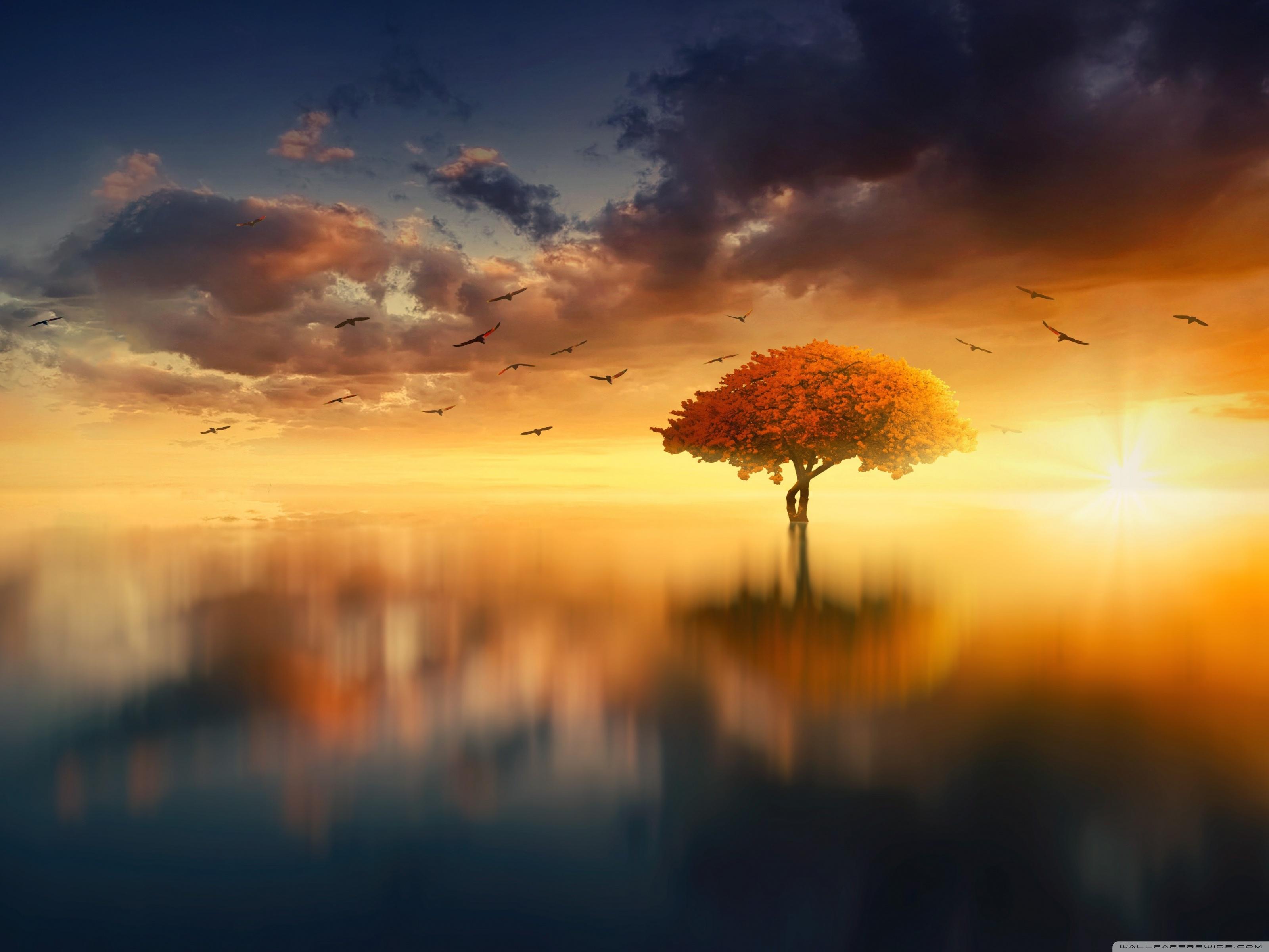 Calming 4K Wallpapers - Top Free Calming 4K Backgrounds - WallpaperAccess