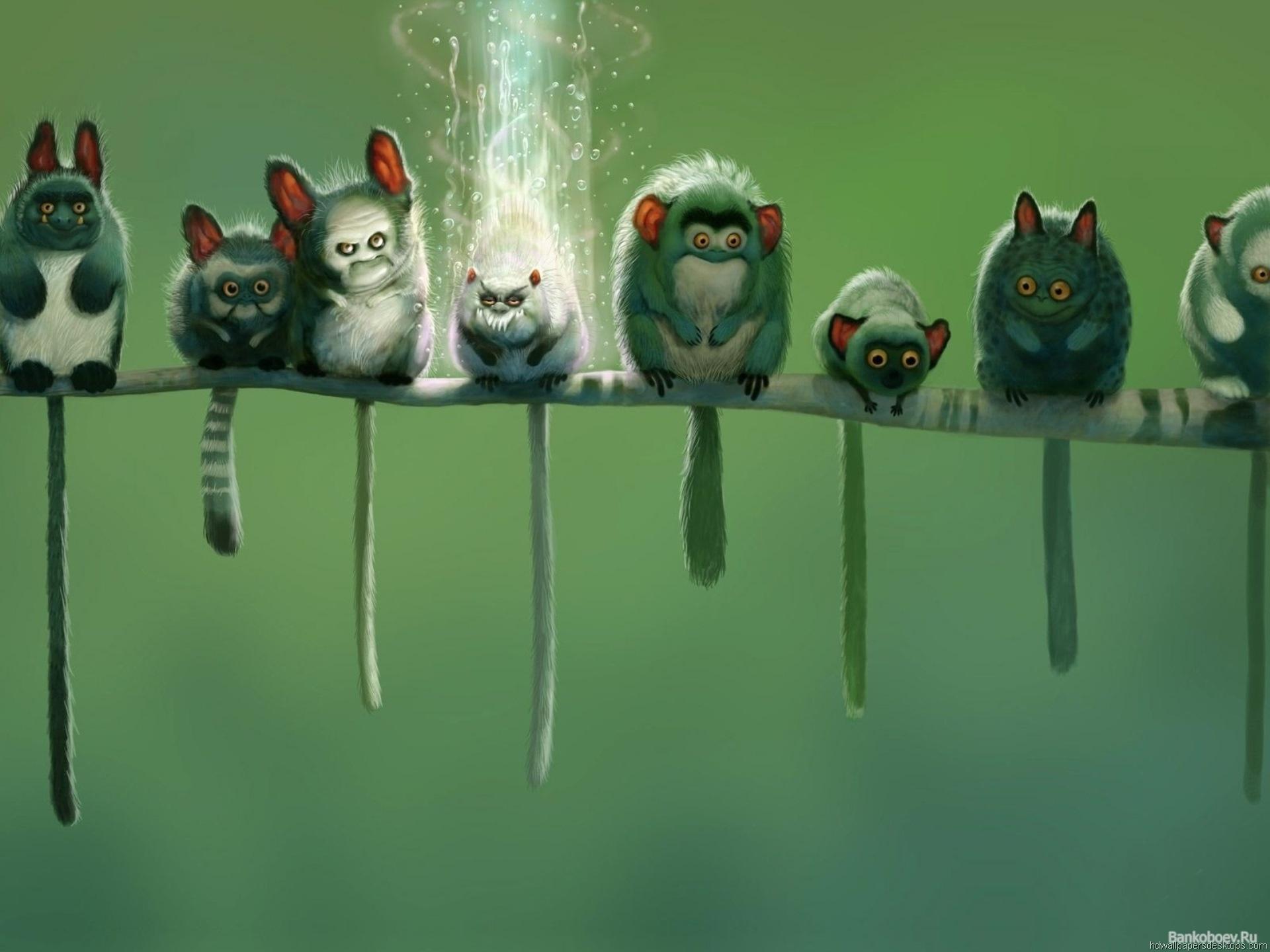 Humour Wallpapers - Top Free Humour Backgrounds - WallpaperAccess