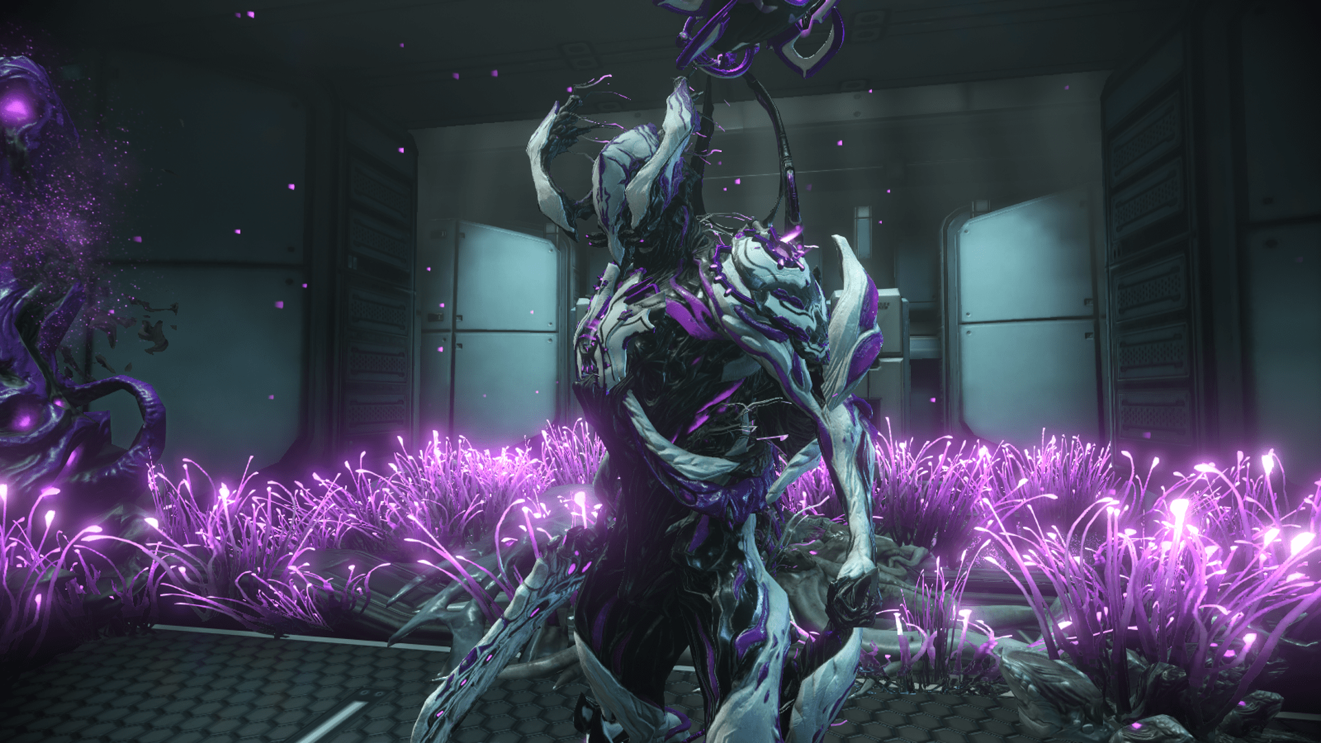 Warframe Nidus Wallpapers - Top Free Warframe Nidus Backgrounds - WallpaperAccess
