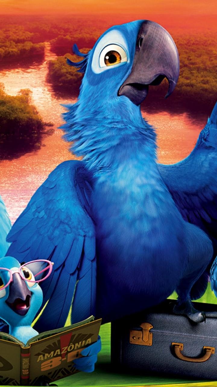 Rio Birds Wallpapers - Top Free Rio Birds Backgrounds - WallpaperAccess