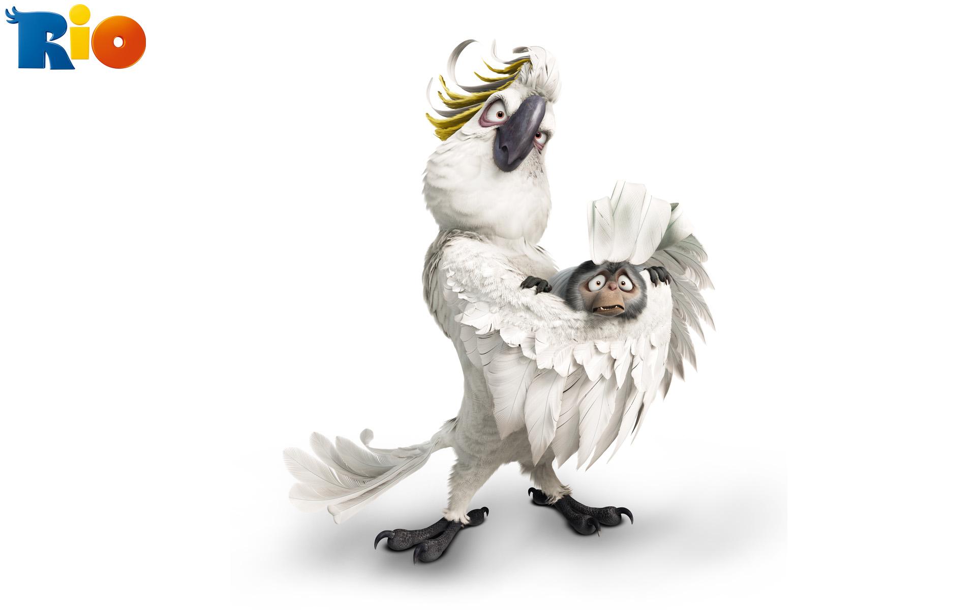 Rio Birds Wallpapers - Top Free Rio Birds Backgrounds - WallpaperAccess