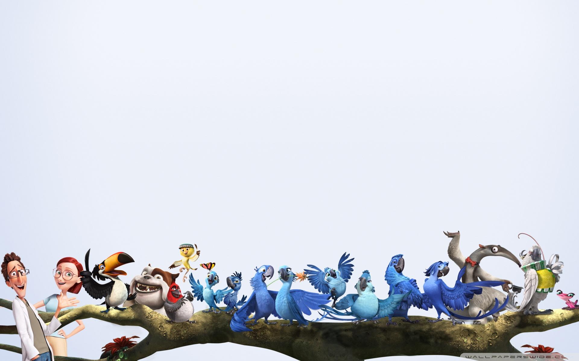 Rio Birds Wallpapers - Top Free Rio Birds Backgrounds - WallpaperAccess