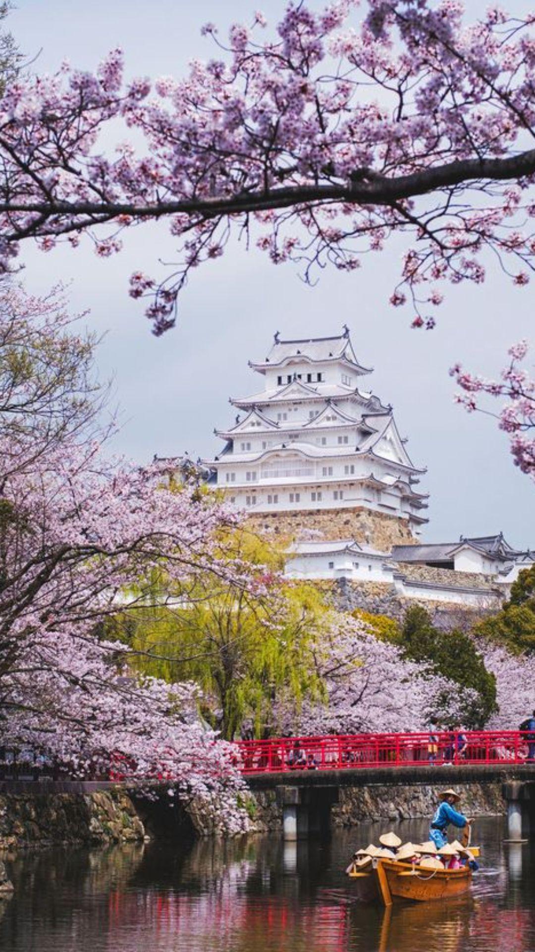 Japan Android Wallpapers - Top Free Japan Android Backgrounds ...