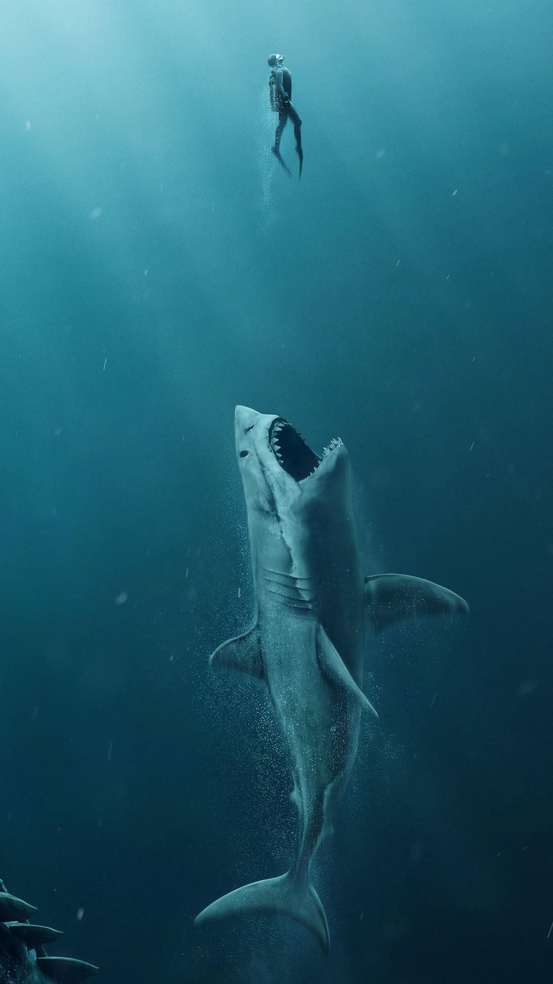 8k Shark Wallpapers - Top Free 8k Shark Backgrounds - WallpaperAccess