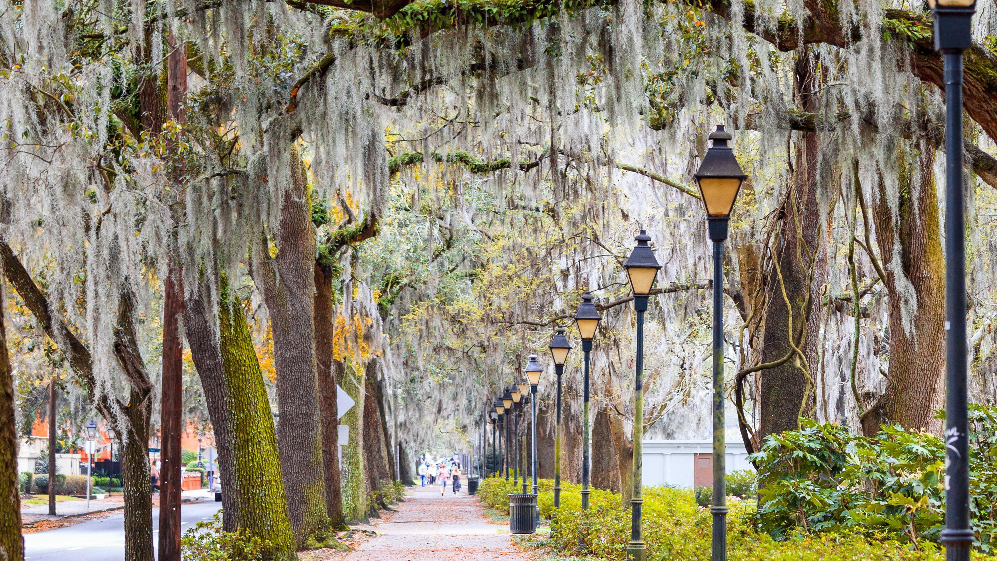 Savannah Georgia Wallpapers - Top Free Savannah Georgia Backgrounds ...